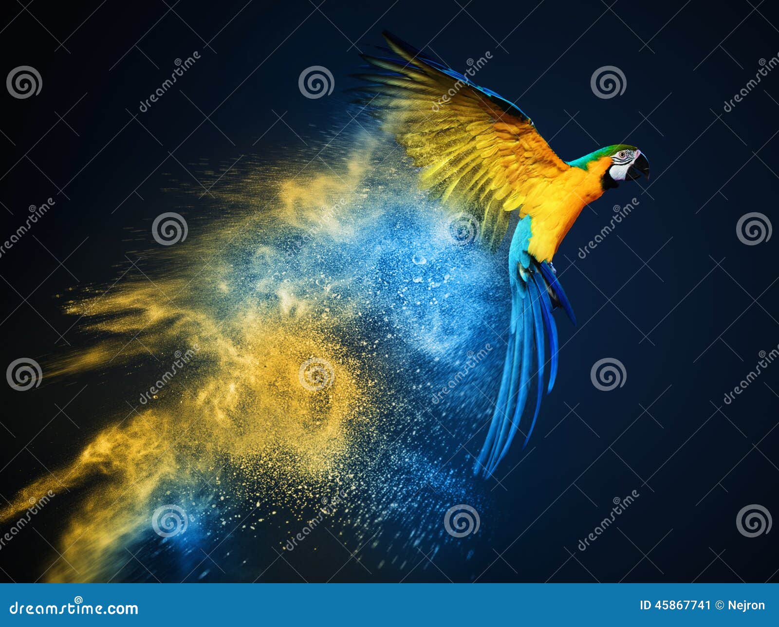 Perroquet d'arums de vol image stock. Image du artistique - 45867741