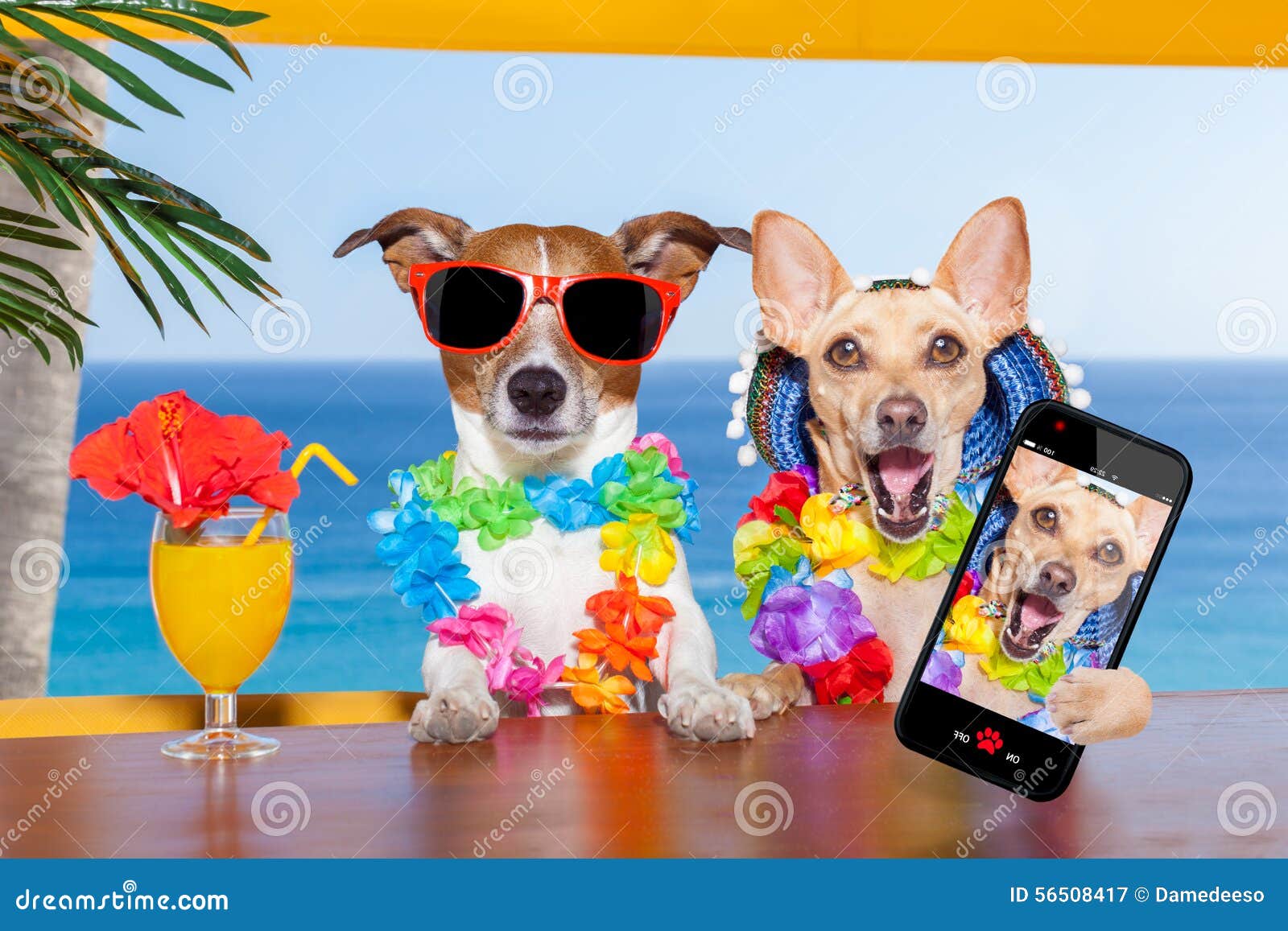 Perros borrachos imagen de archivo. Imagen de aclamaciones - 56508417