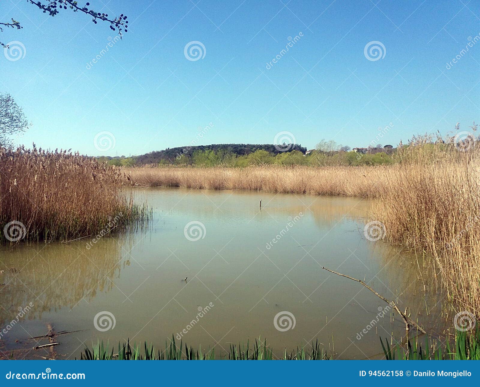 Persano Stock Photos - Free & Royalty-Free Stock Photos from Dreamstime