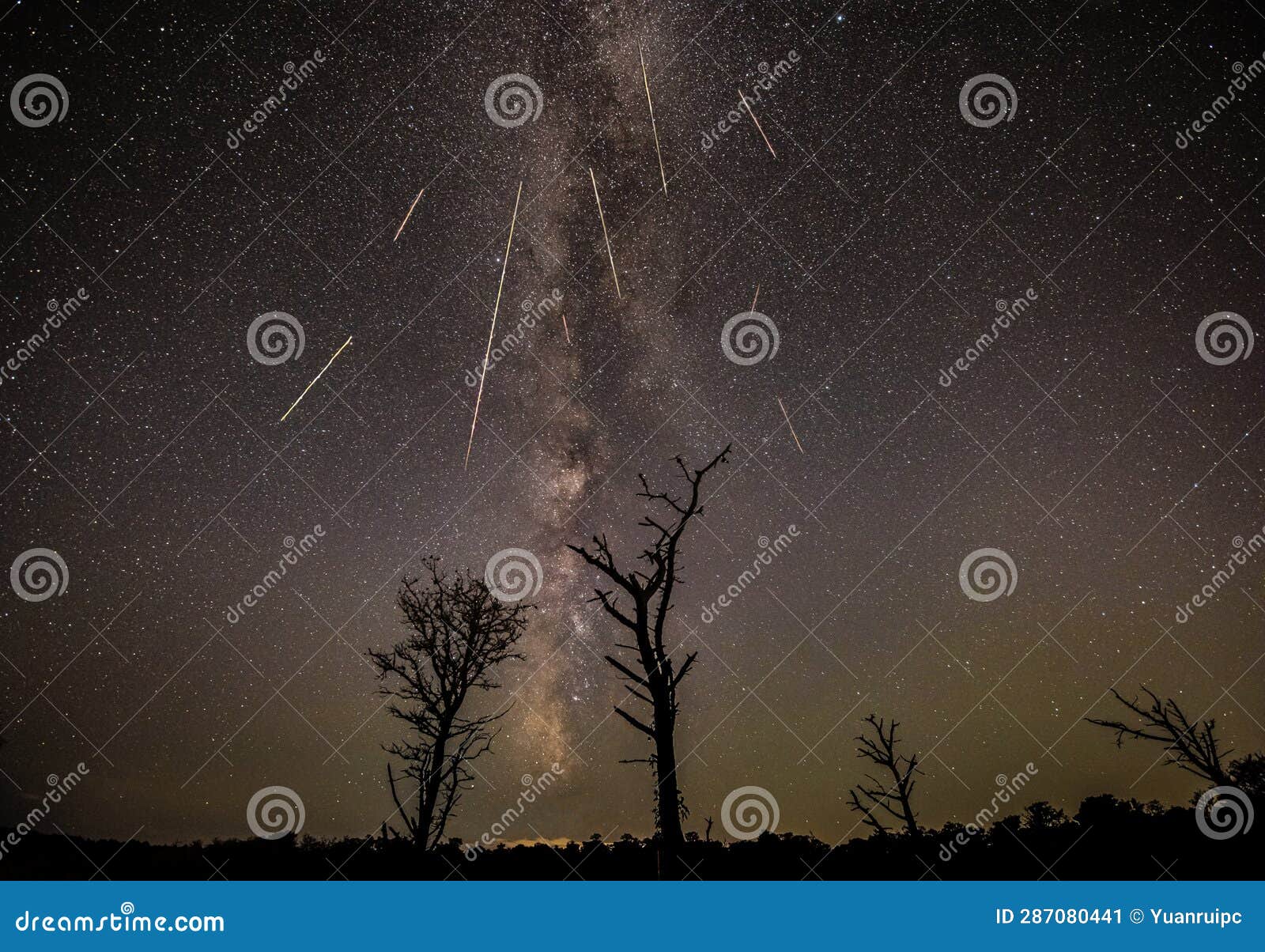 Perseid Meteor Shower and Milky Way Above Trees Stock Image - Image of ...