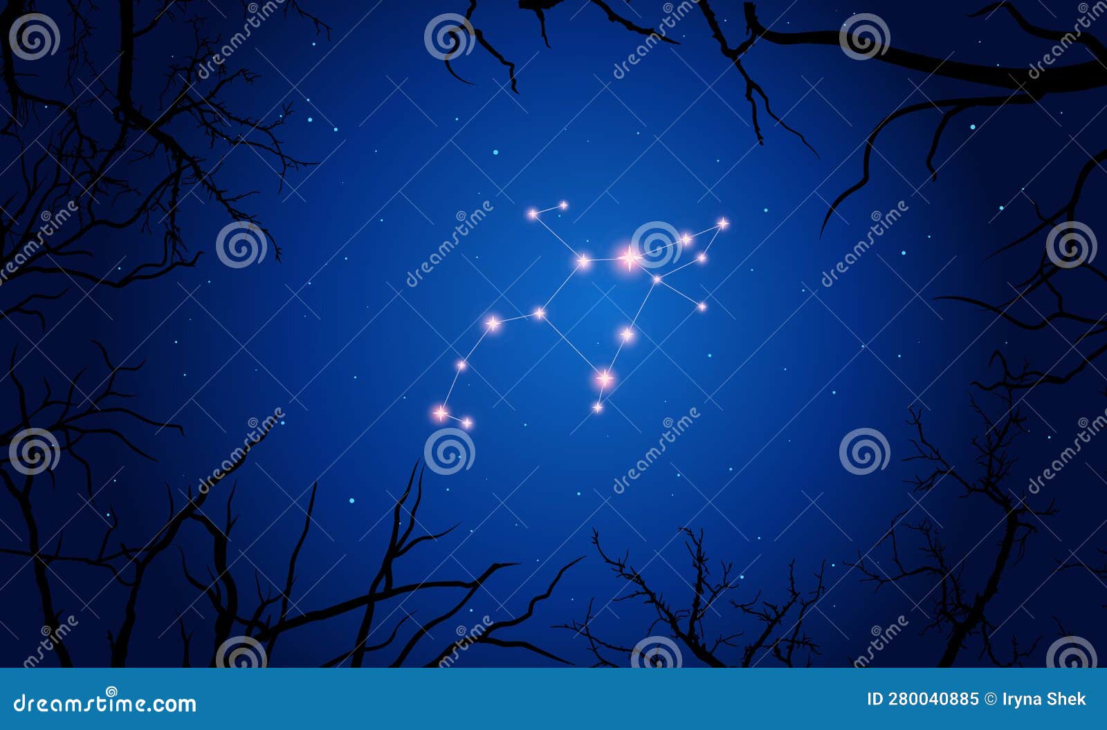 Perseus Constellation. Tree Branches, Starry Sky Stock Vector ...
