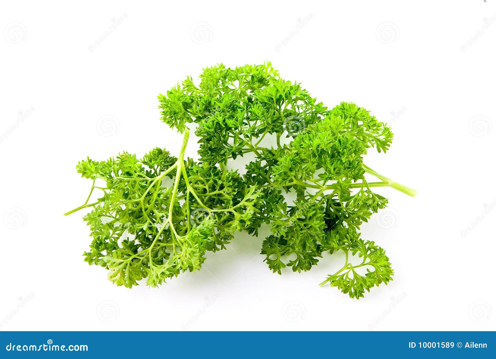 Persil image stock. Image du fond, lumineux, image, nutrition - 10001589