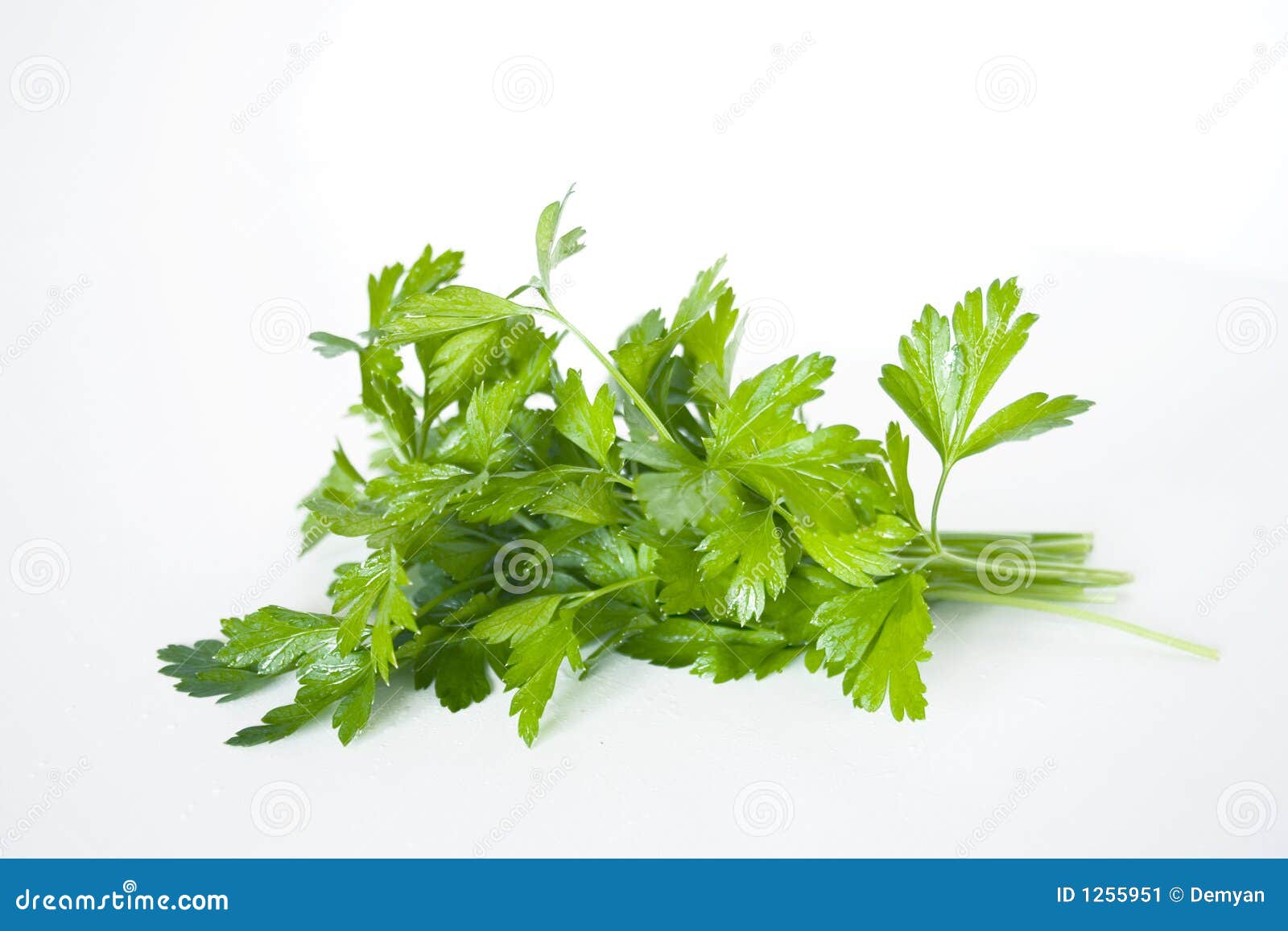 Persil image stock. Image du peau, bleu, vert, légumes - 1255951
