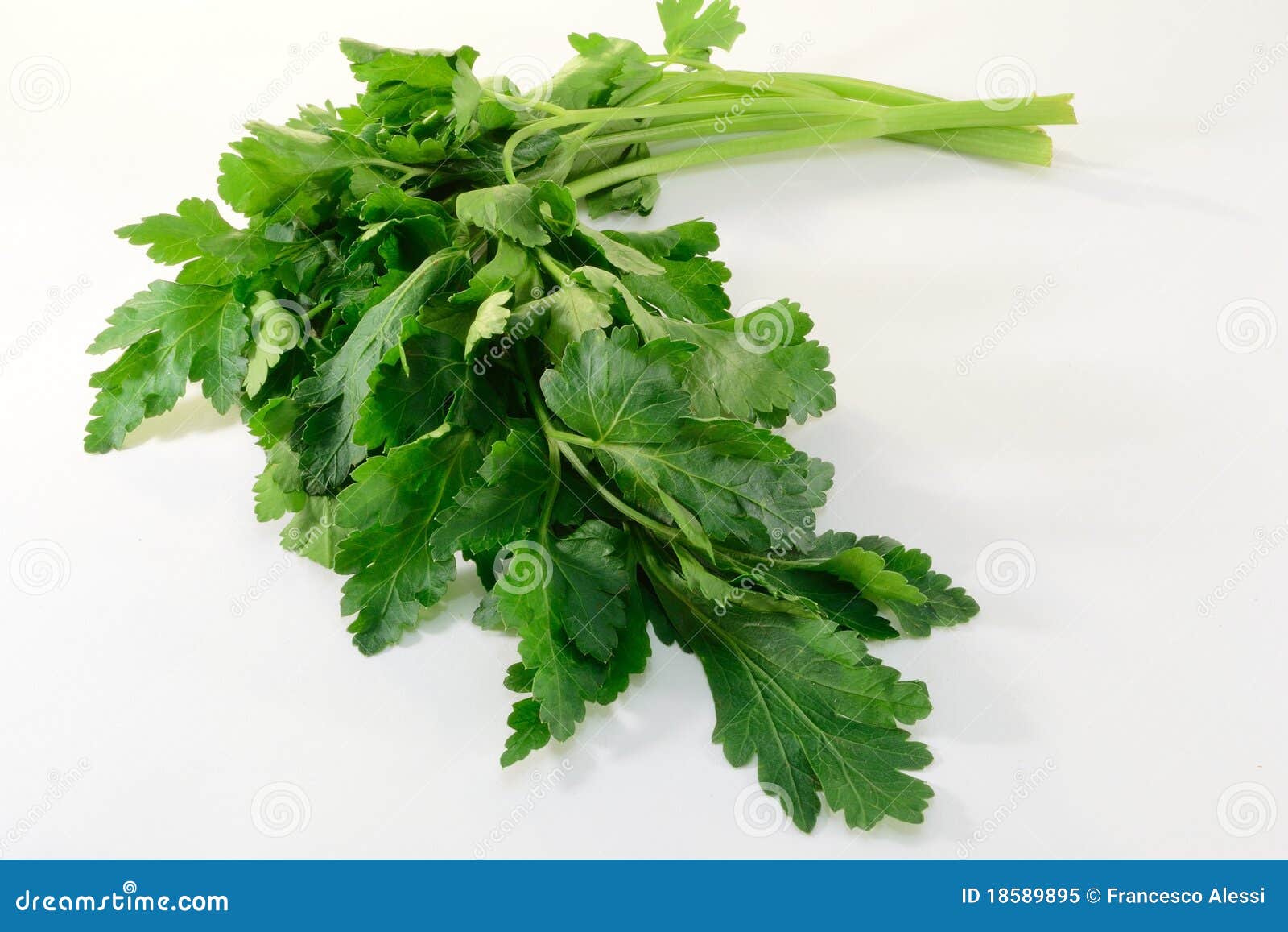 Persil image stock. Image du ingrédient, ingrédients - 18589895