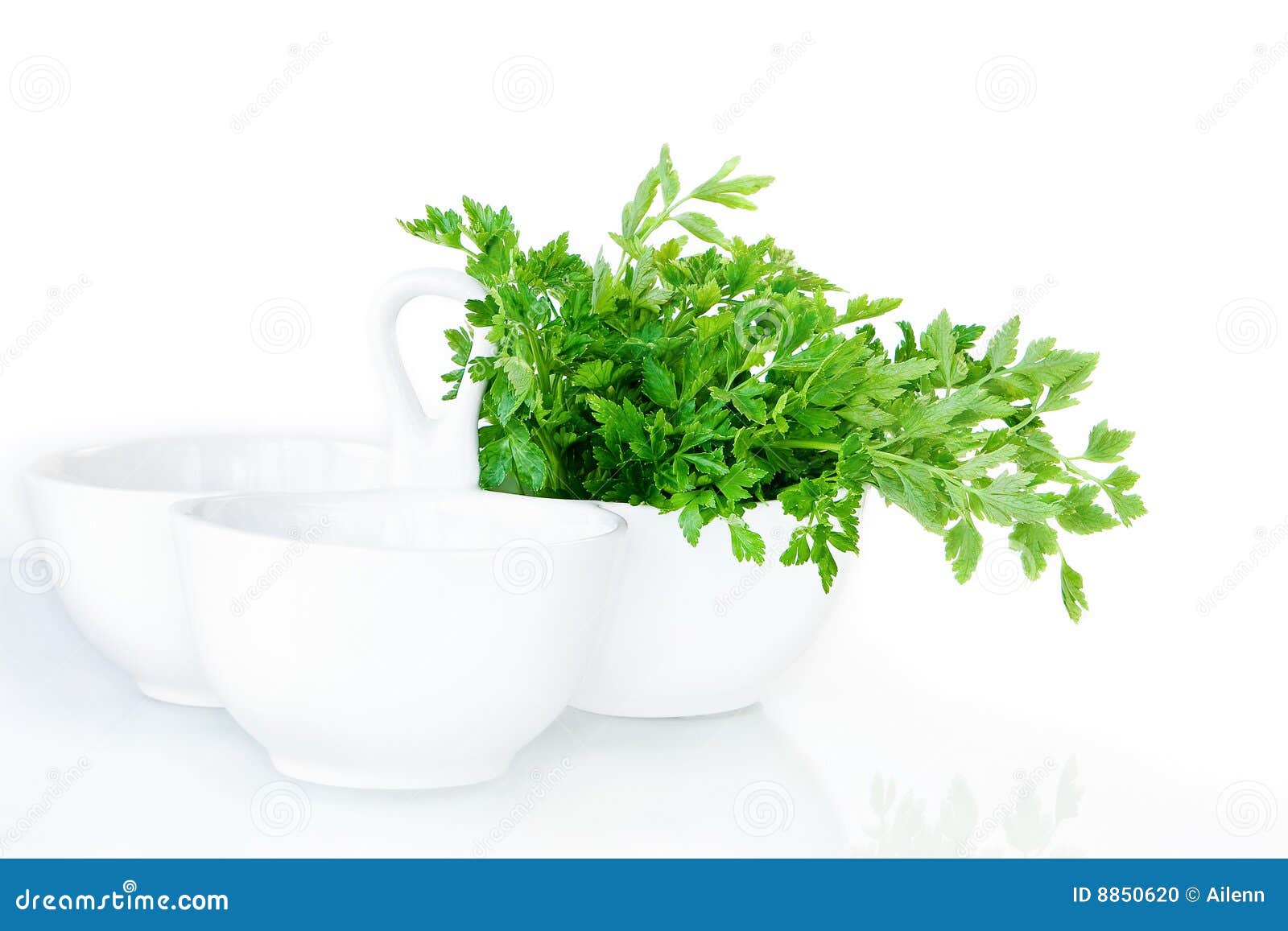 Persil photo stock. Image du lame, botanique, vivacité - 8850620