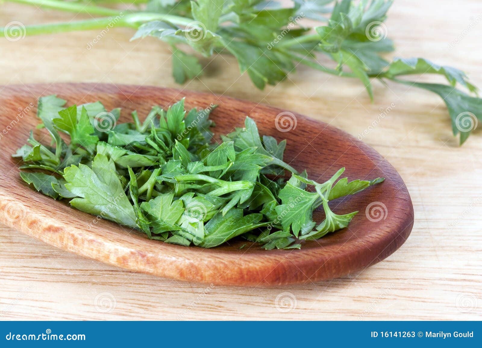 Persil coupé image stock. Image du lames, bois, persil - 16141263