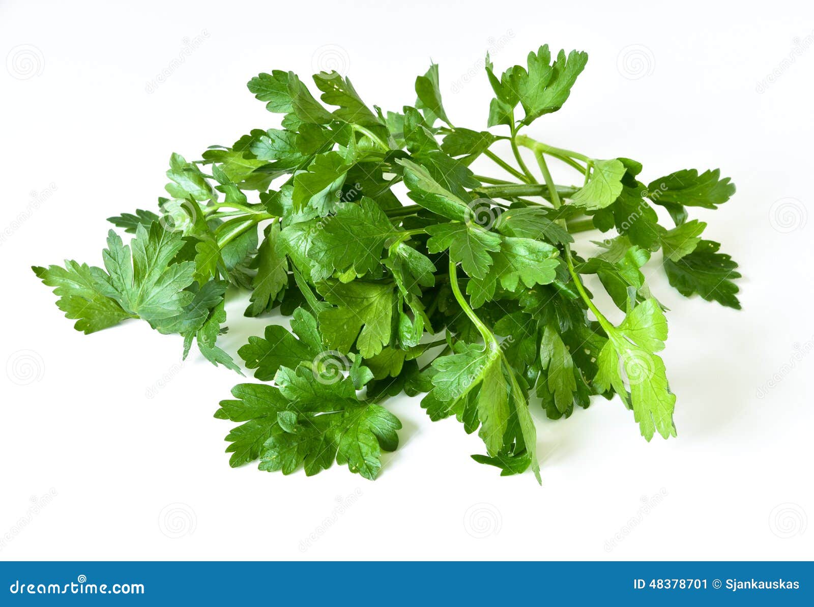 715,492 Photos de Persil - Photos de stock gratuites et libres de ...