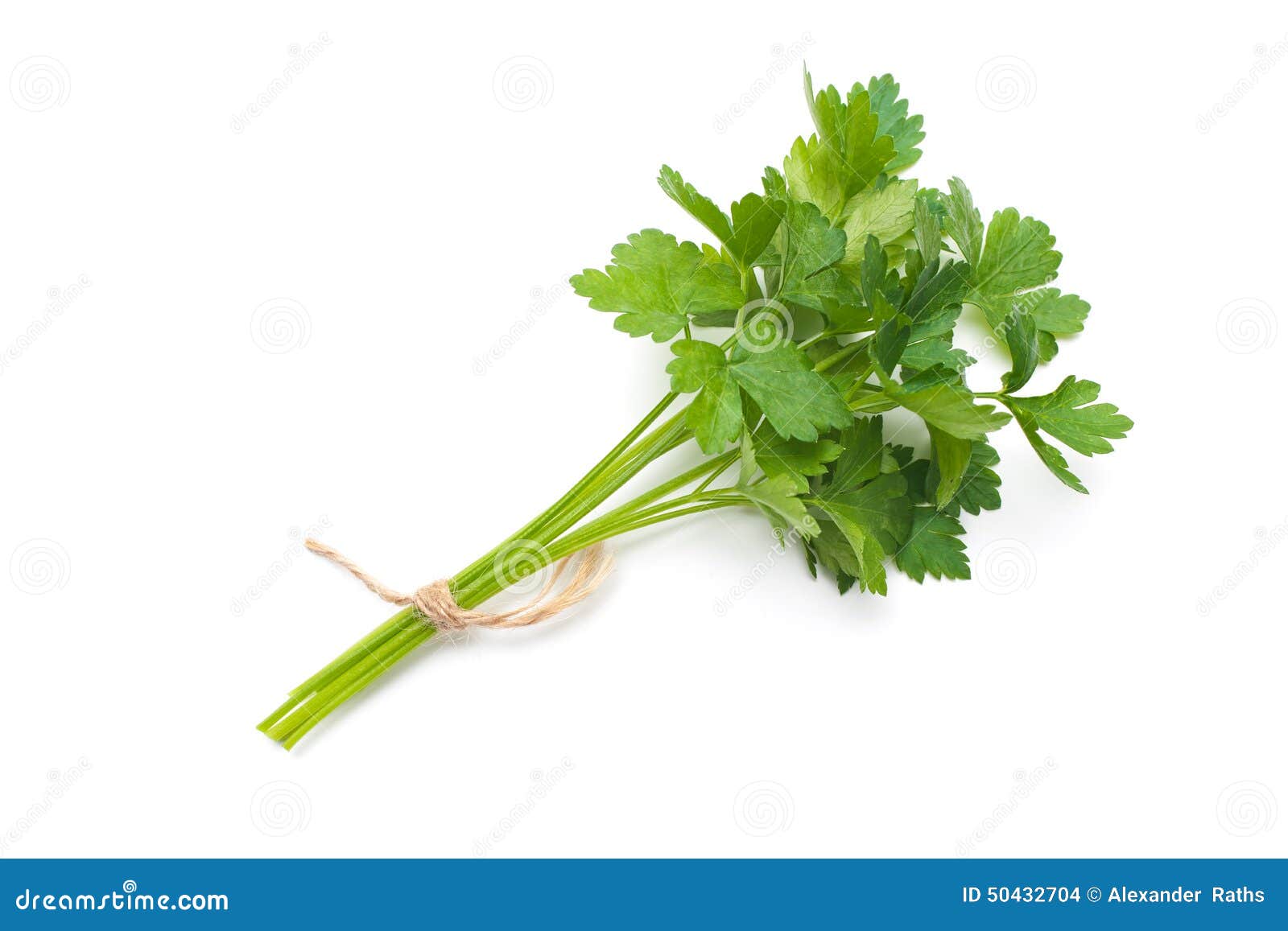 Persilja arkivfoto. Bild av anstrykning, packe, bakgrund - 50432704