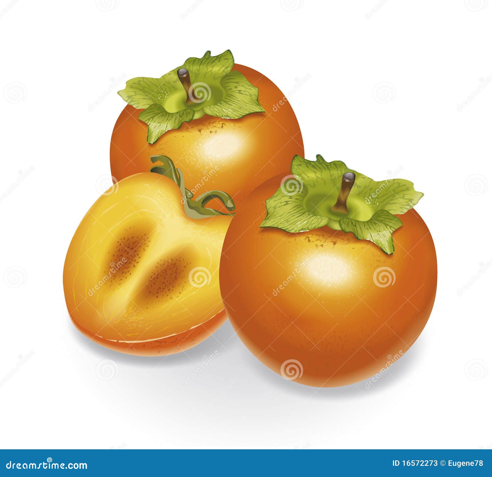 Persimmon stock vector. Illustration of food, vegetables - 16572273