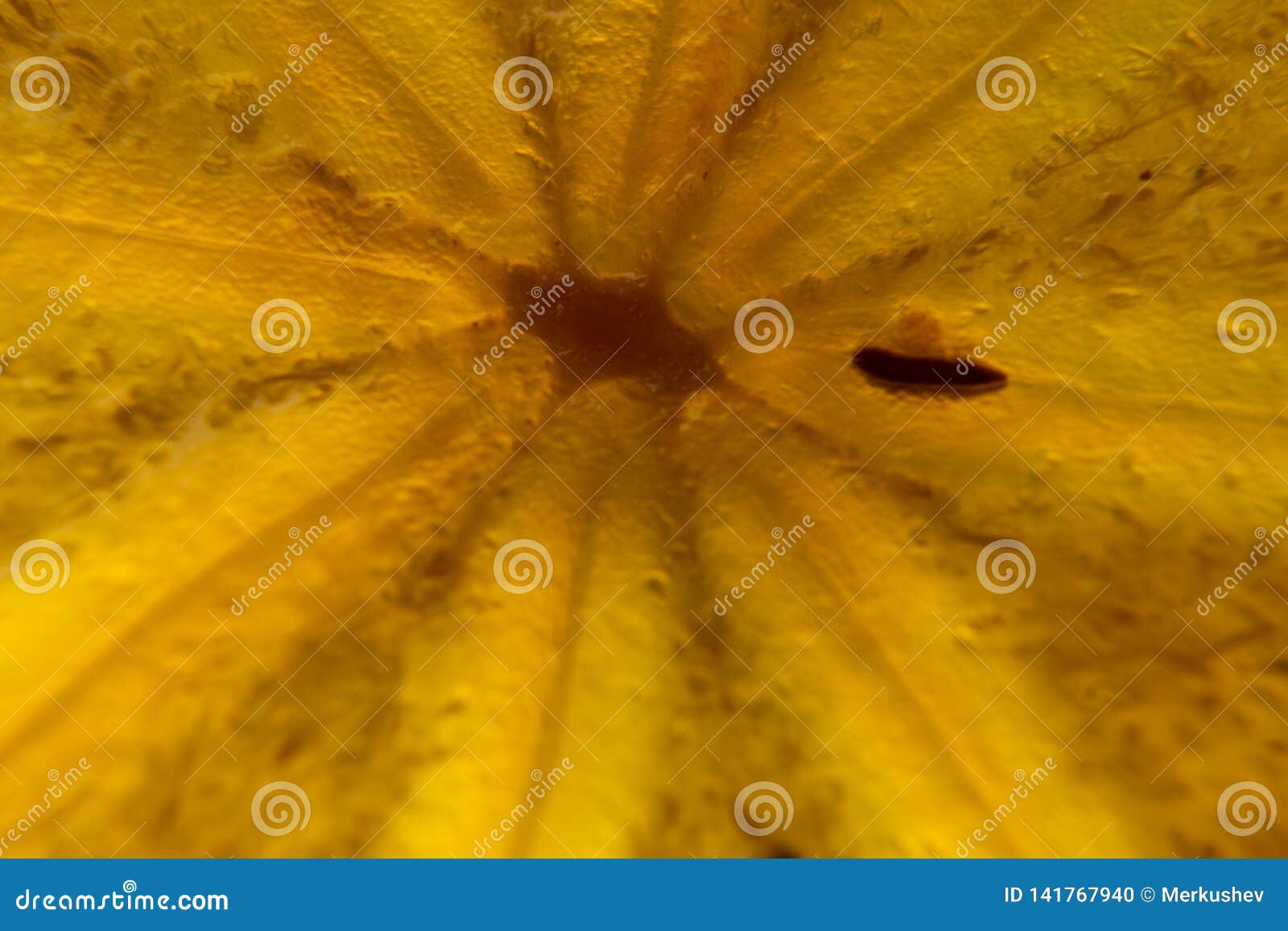 Persimmon Backlit Pulp in the Cut. Translucent Persimmon Close-up Stock ...