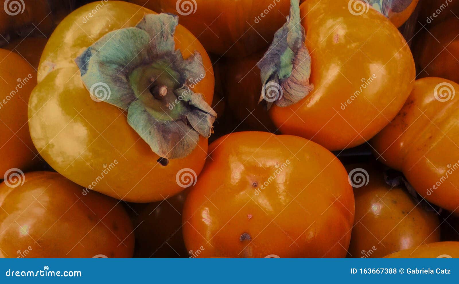Persimmon in closeup stock photo. Image of leaf, israel - 163667388