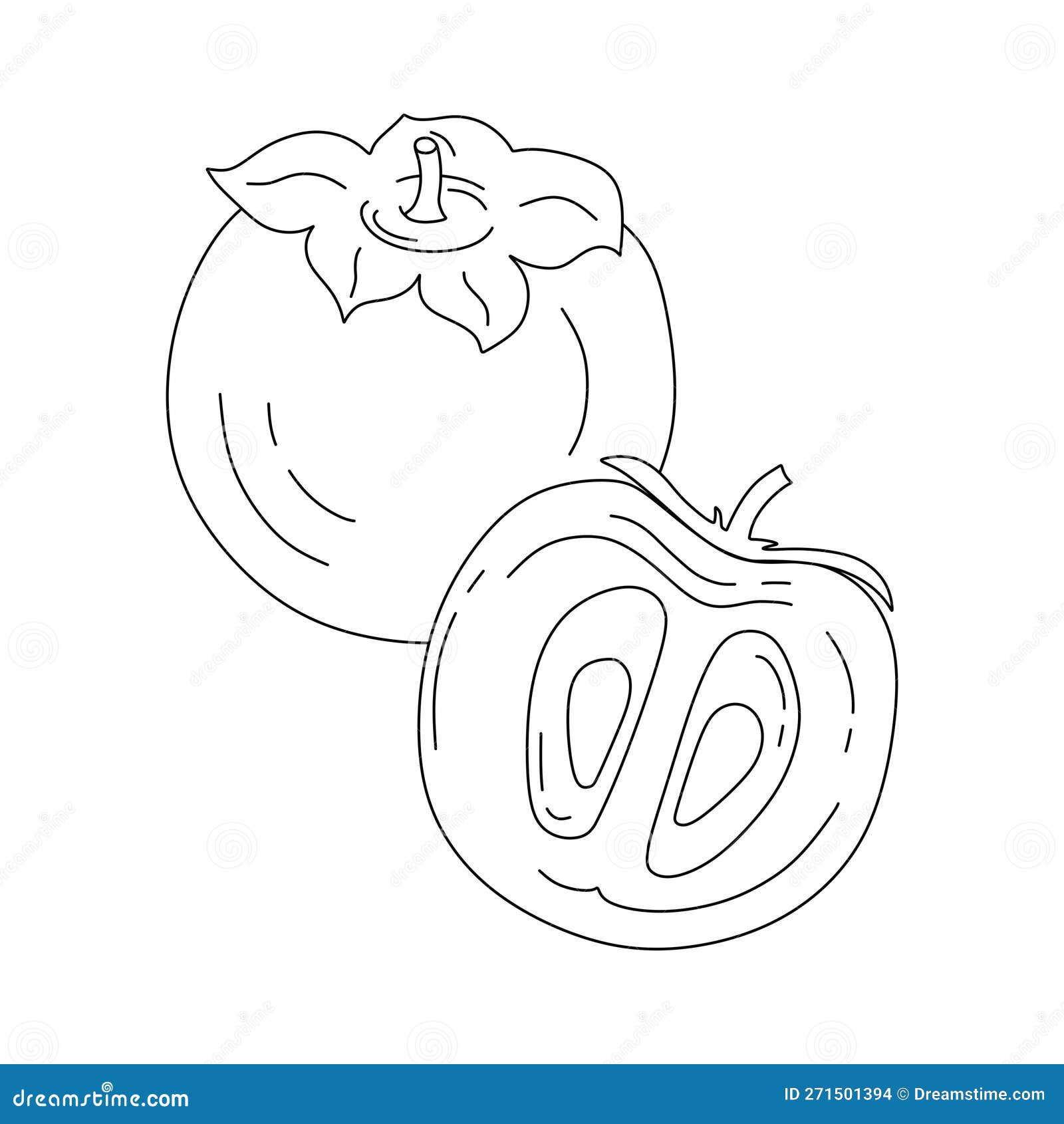 Persimmon Doodle Vector Illustration Coloring Book for Kids Stock ...