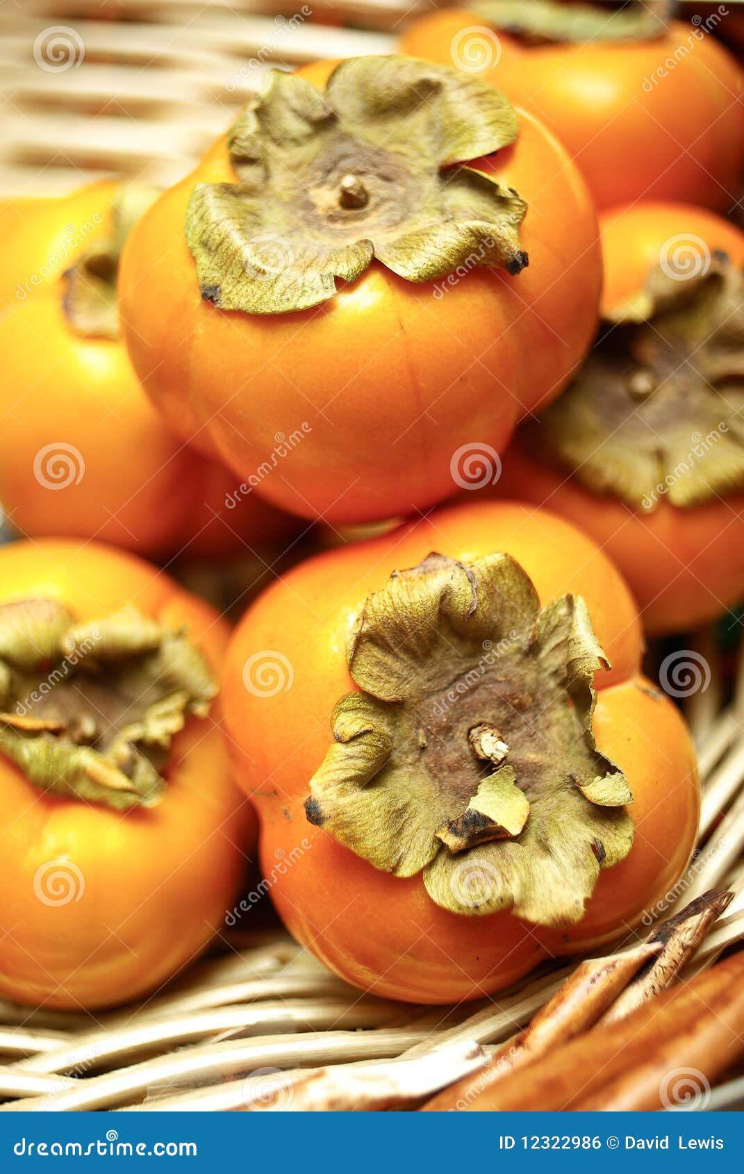 Persimmon fruit stock photo. Image of food, orange, stem - 12322986