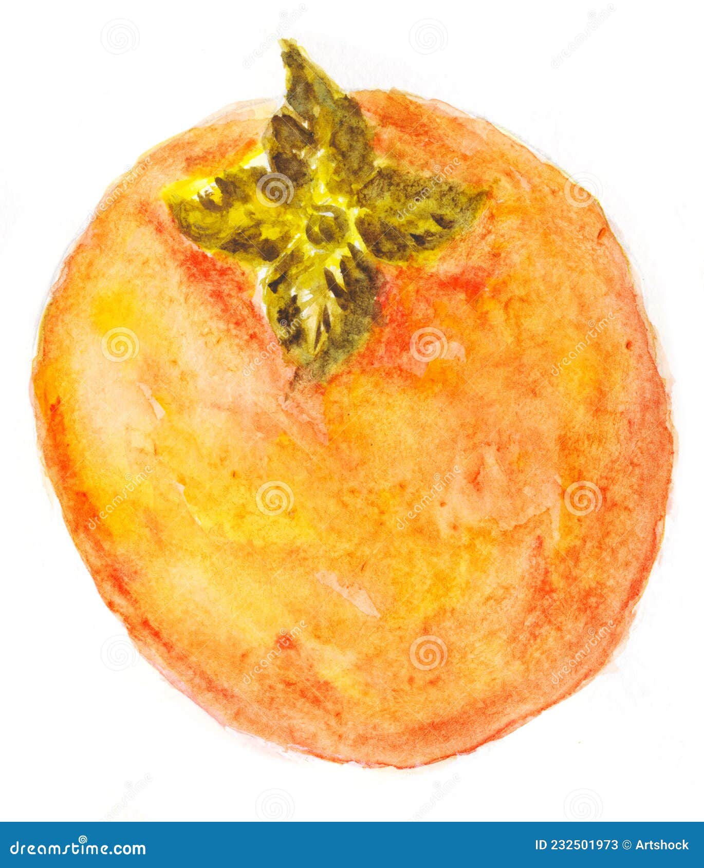 Persimmon fruit art stock image. Image of persimmon - 232501973