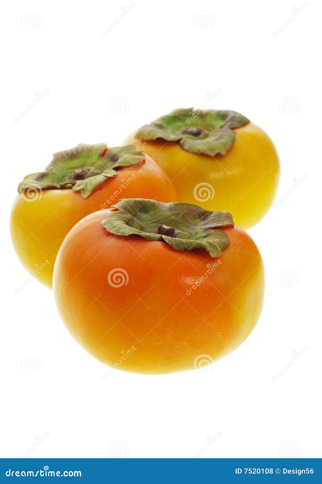 Persimmon fruits stock photo. Image of organic, food, fruit - 7520108