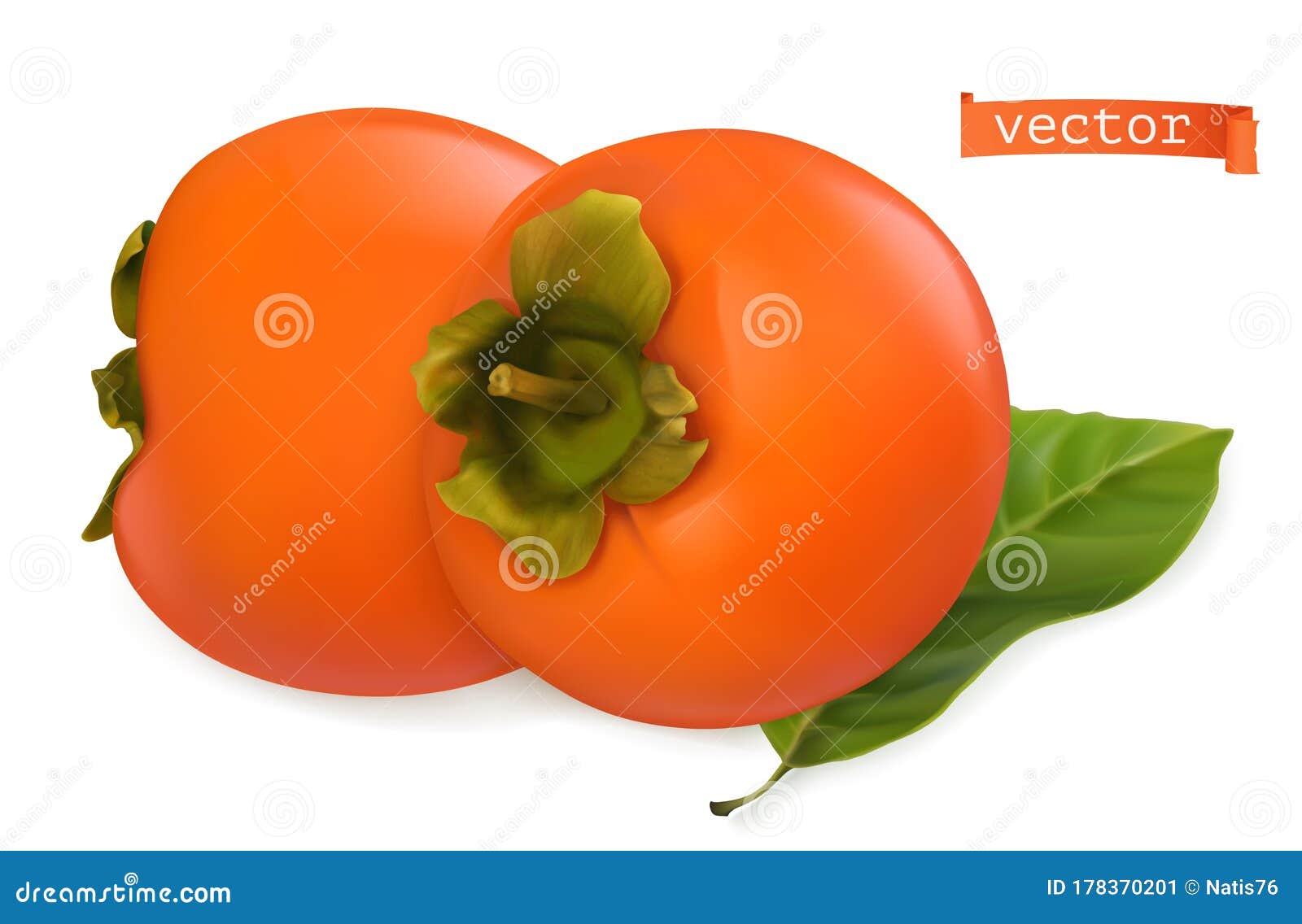 Persimmon Fruits Sketch Vector Illustration For Label, Background. One ...