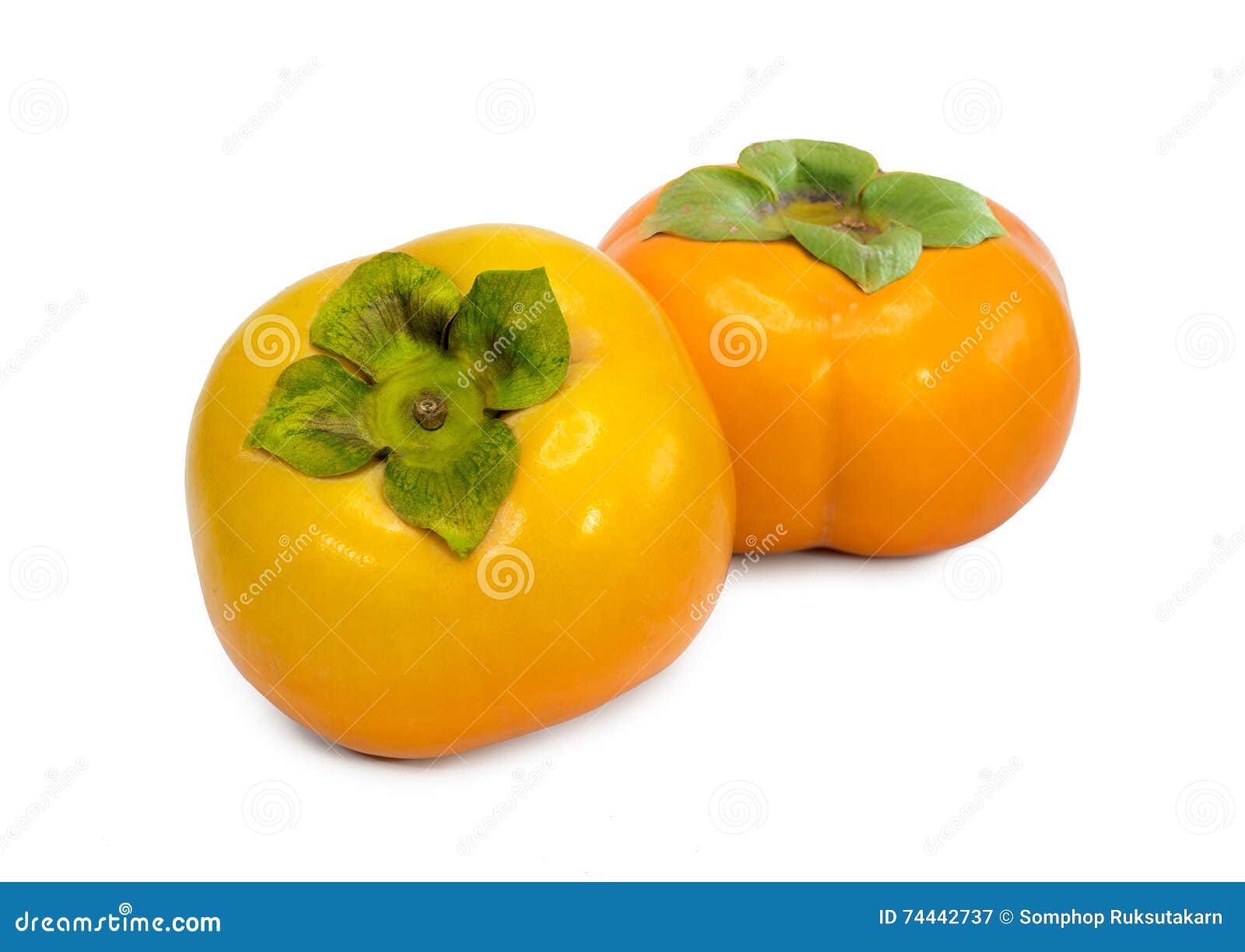 Persimmon Isolated on White Background.Orange Ripe Persimmon Isolated ...