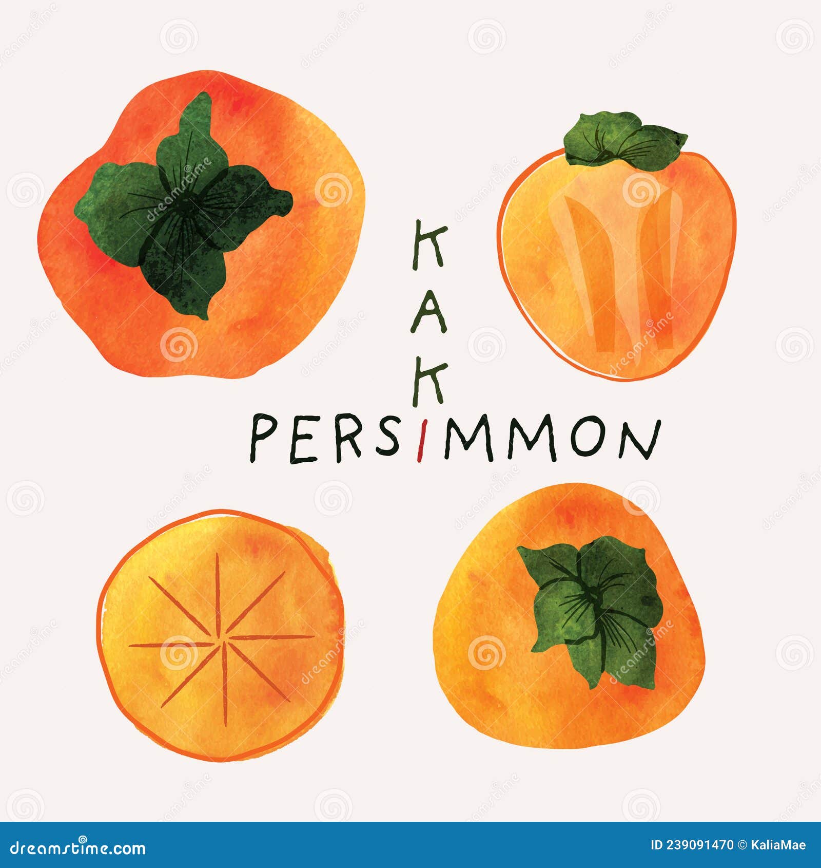 Persimmon or Kaki Fruit Watercolor Illustration Set. Painterly ...