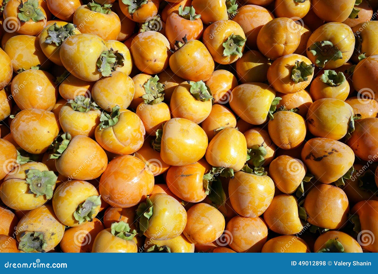 Persimmon stock photo. Image of food, fruits, group, persimmon - 49012898