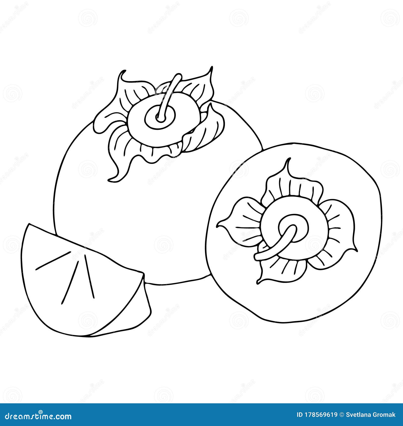 Persimmon Outline Drawing.Black and White Image of a Fruit in the ...