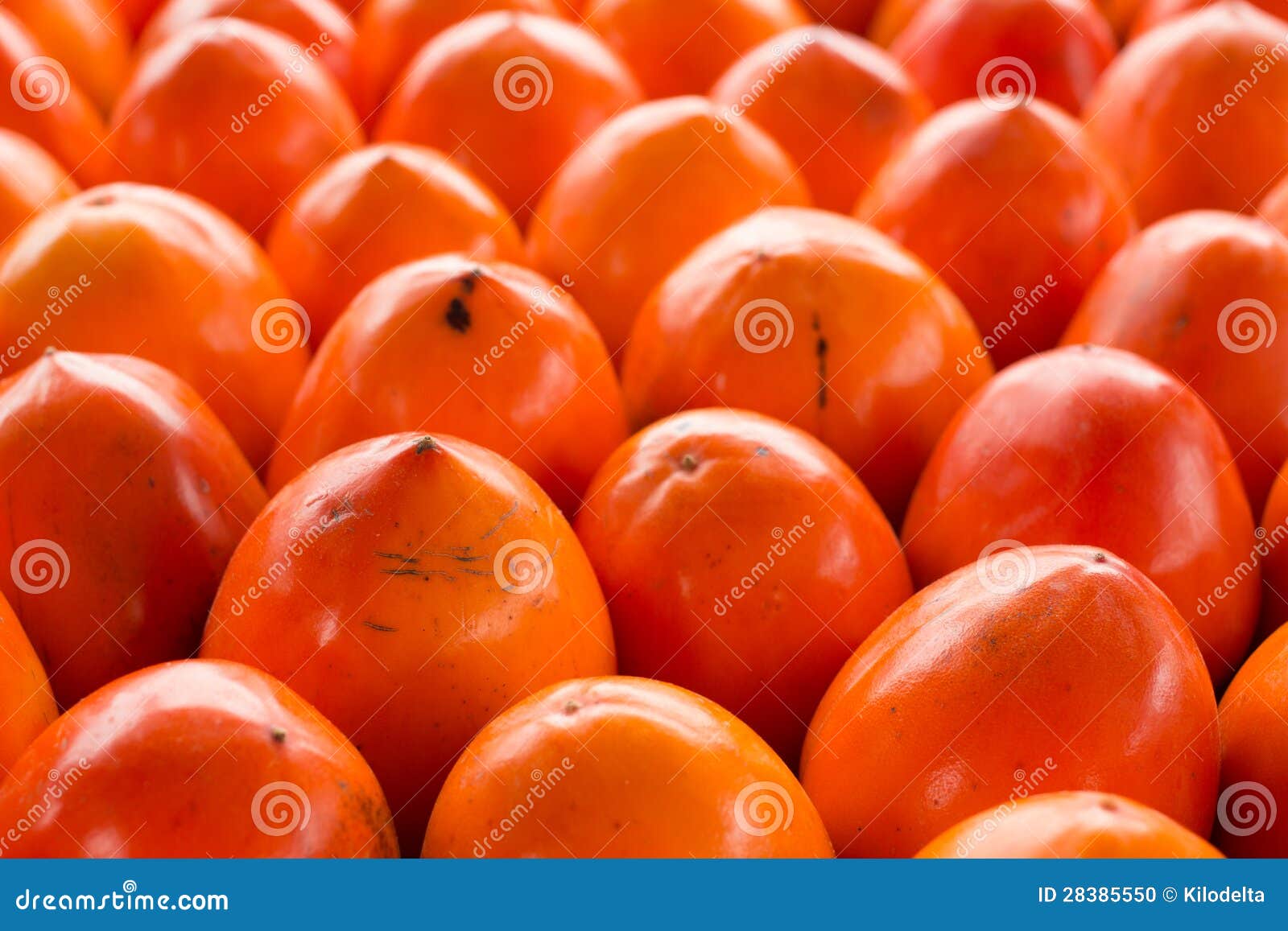 Persimmon Pattern stock photo. Image of shiny, fruit - 28385550