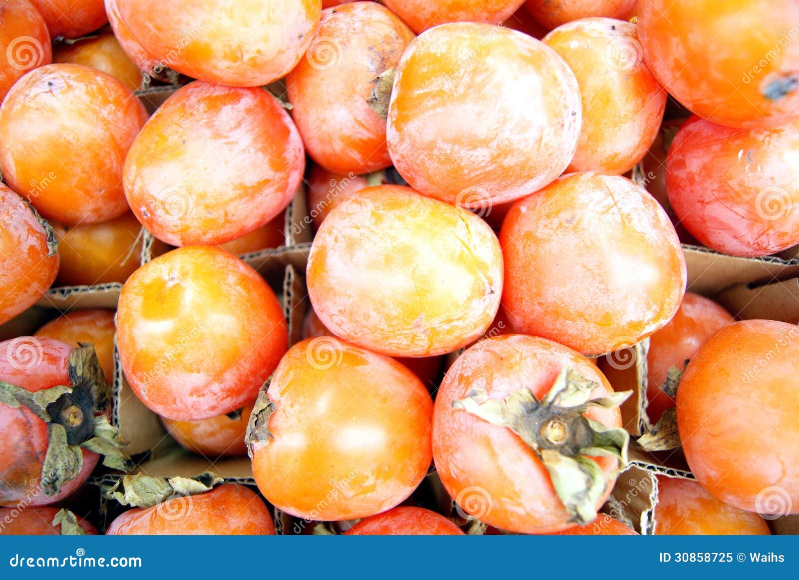 Persimmon stock image. Image of health, still, ripe, fresh - 30858725
