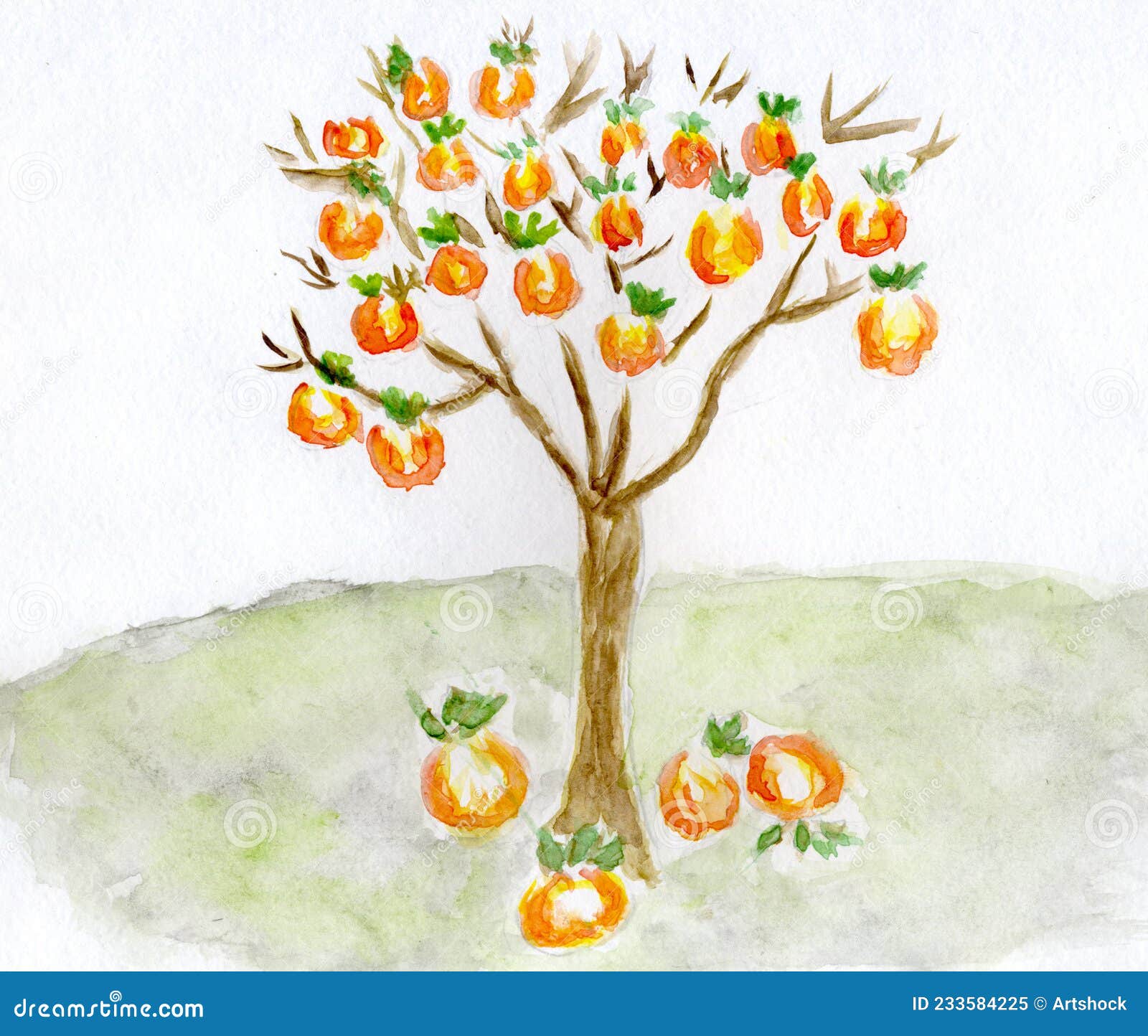 Persimmon tree art stock illustration. Illustration of plant - 233584225