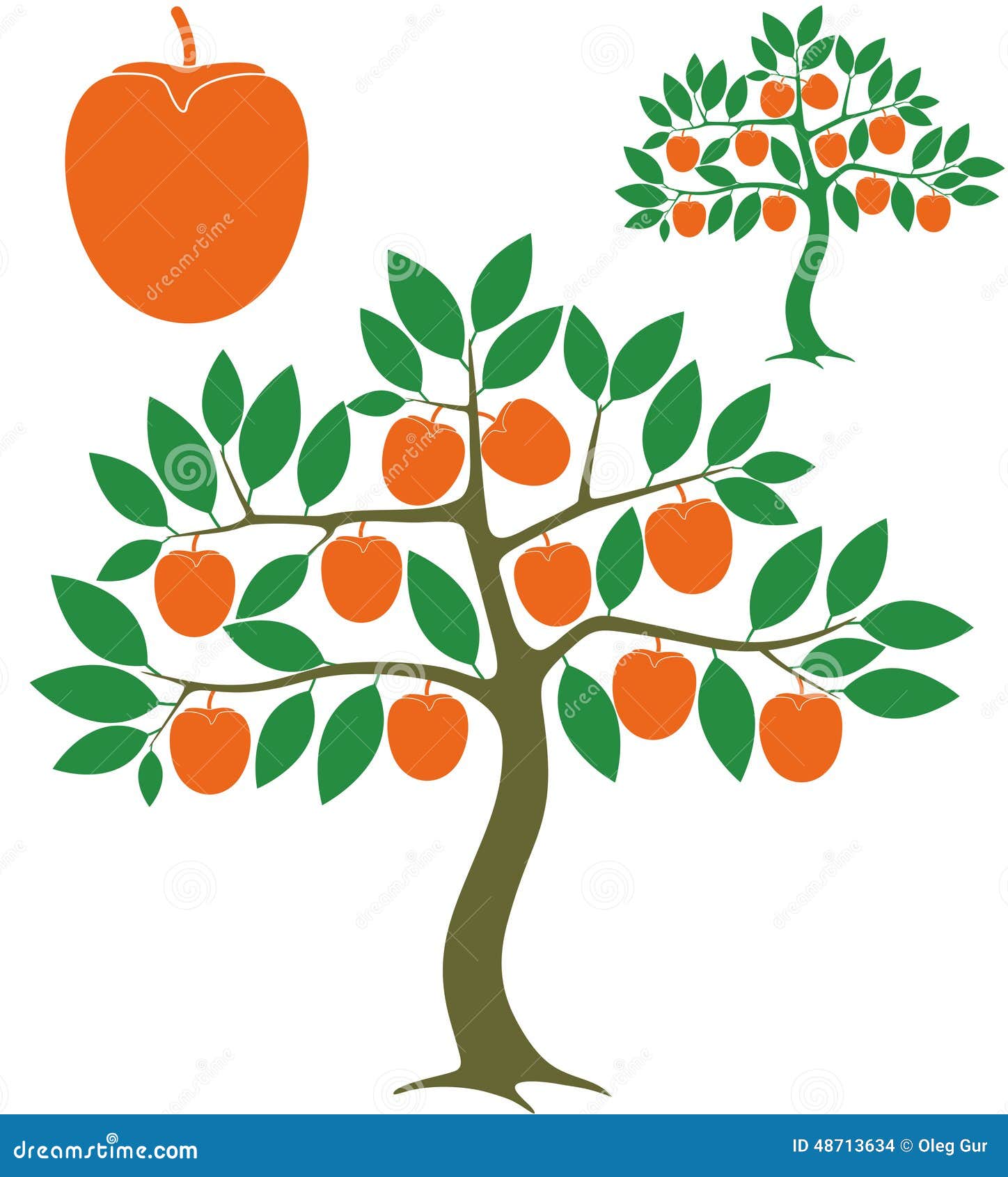 Persimmon tree stock vector. Illustration of dessert - 48713634