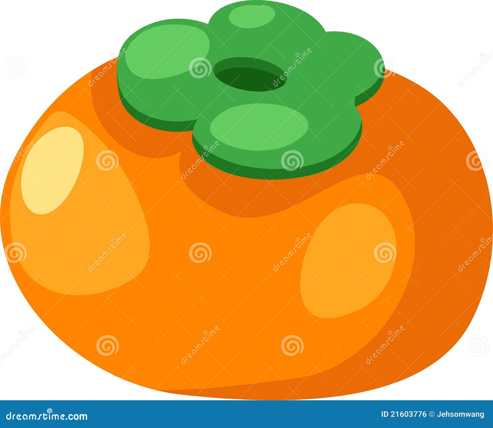 Persimmon vector stock vector. Illustration of isolated - 21603776