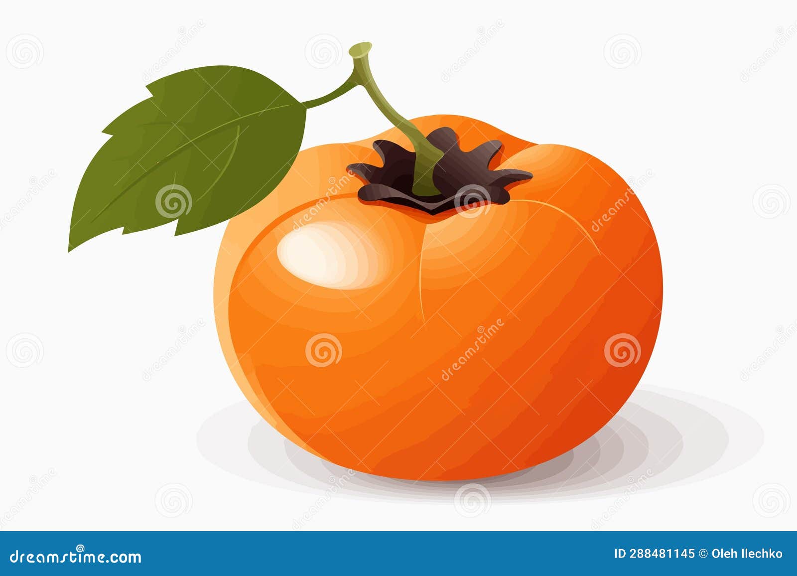 Persimmon Vector Flat Minimalistic Isolated Illustration Stock Vector ...