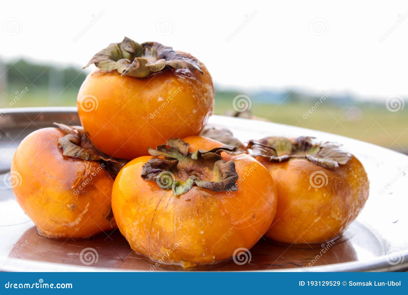 The Fruit Rots because of the Hot Weather Stock Image - Image of ...
