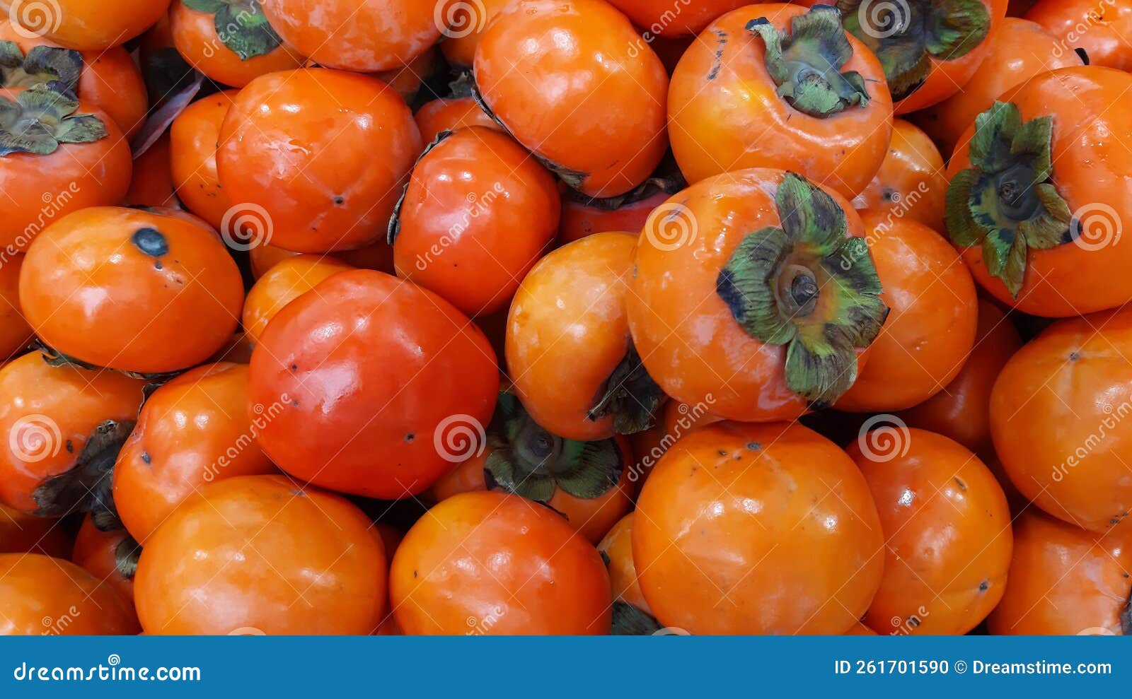 Persimmons Sweet and Crunchy Stock Photo - Image of organic, sweet ...
