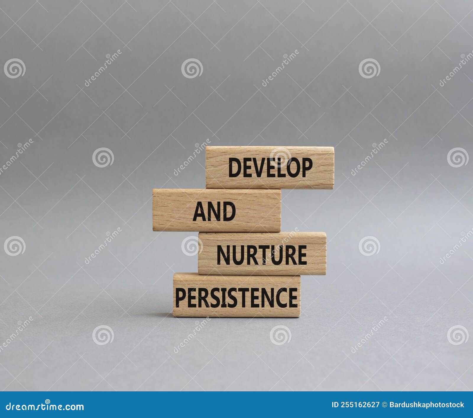 Persistence and Development Symbol. Wooden Blocks with Words Develop ...
