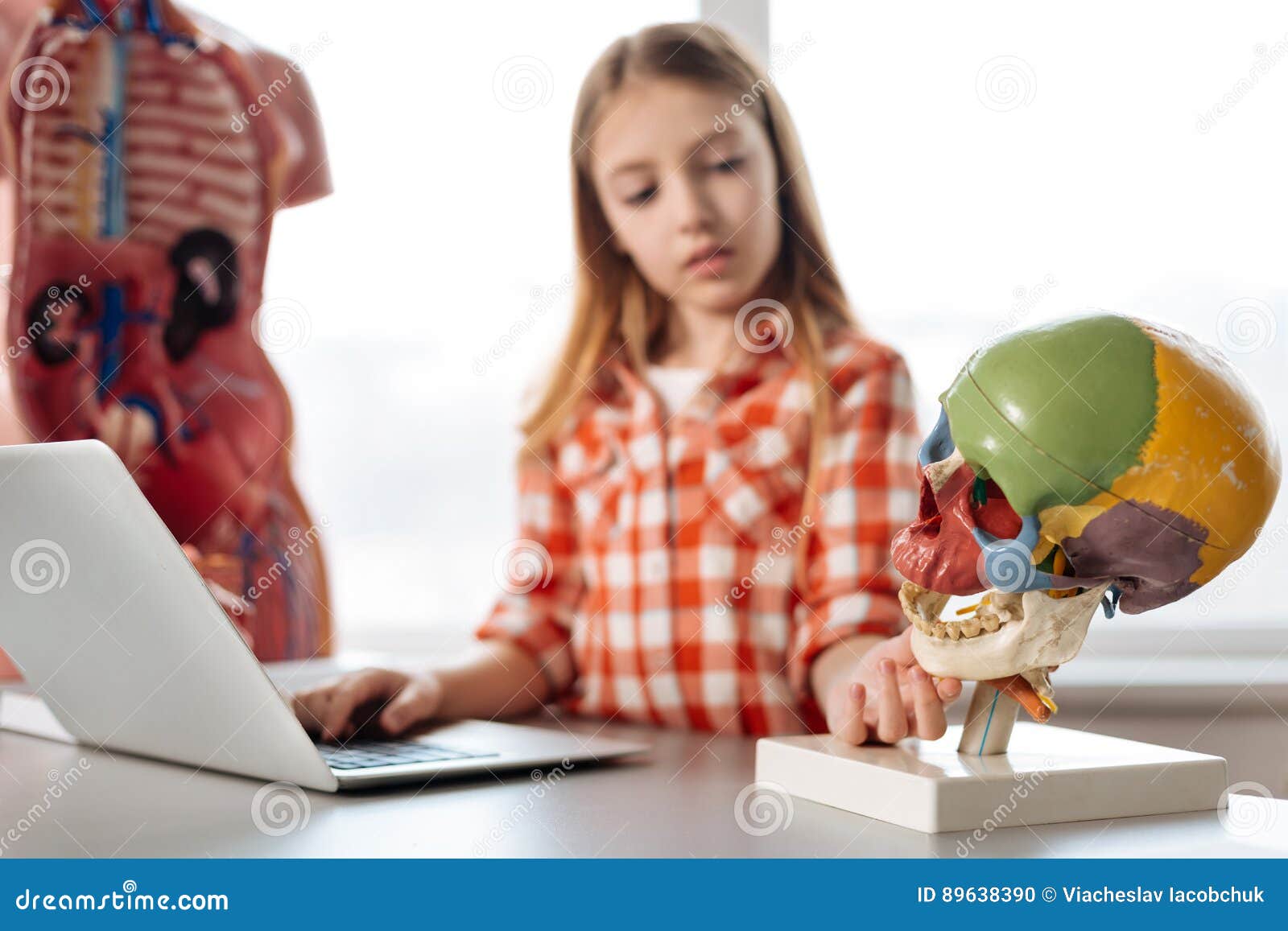Persistent Incredible Student Using Her Gadget for Studying Stock Photo ...