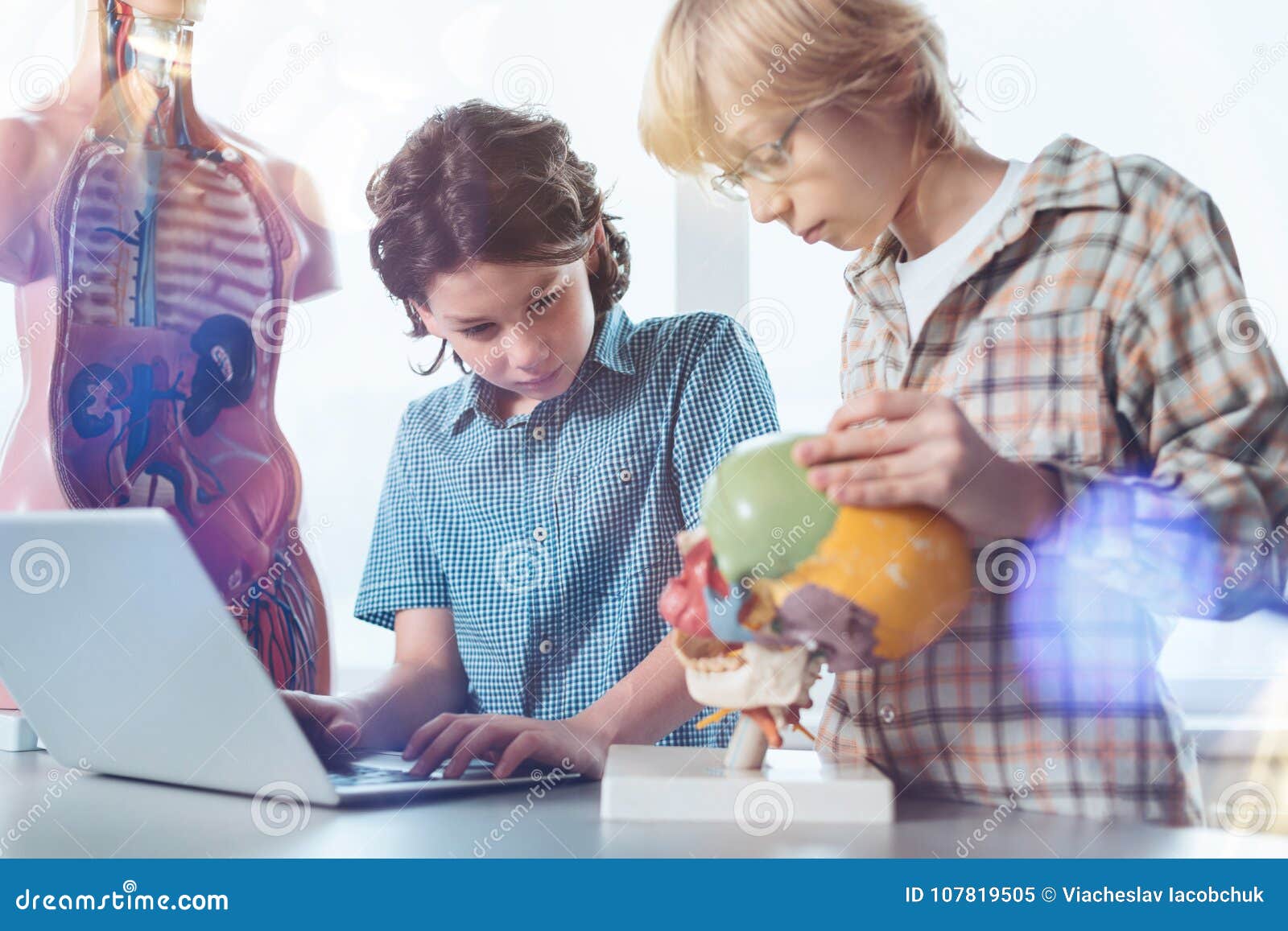 Persistent Talented Students Studying Skull from Different Angles Stock ...