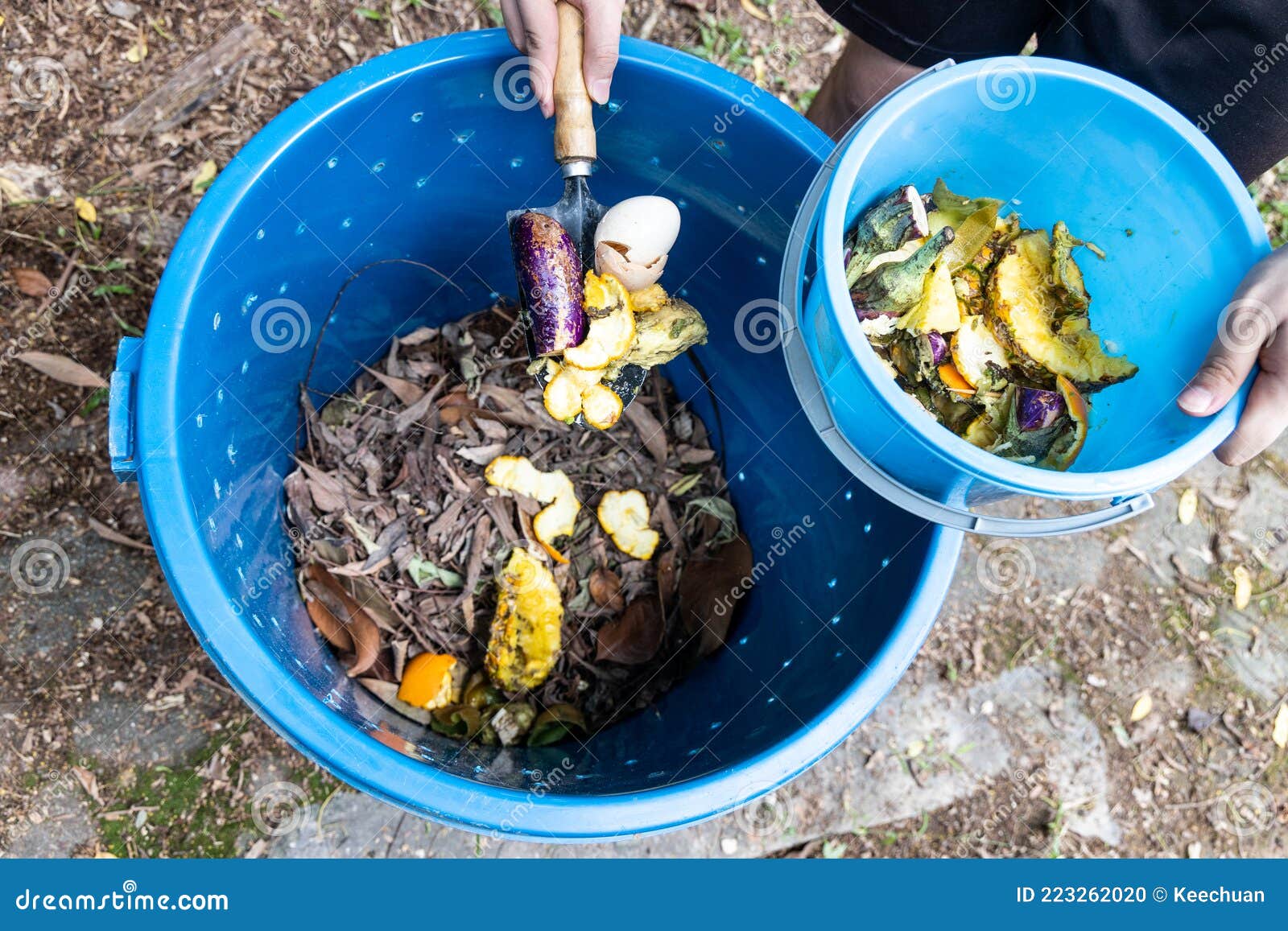 Person Adding Kitchen Organic Green Waste into Bin To Be Turned into ...