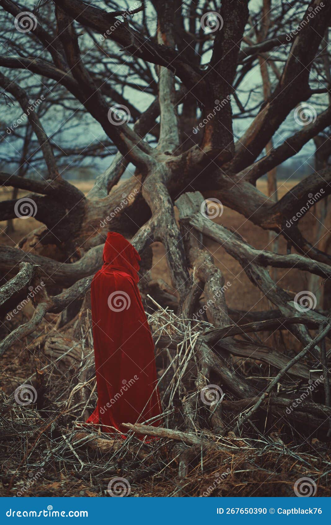 Person Alone in a Dead Desolate Land Stock Photo - Image of land, tree ...