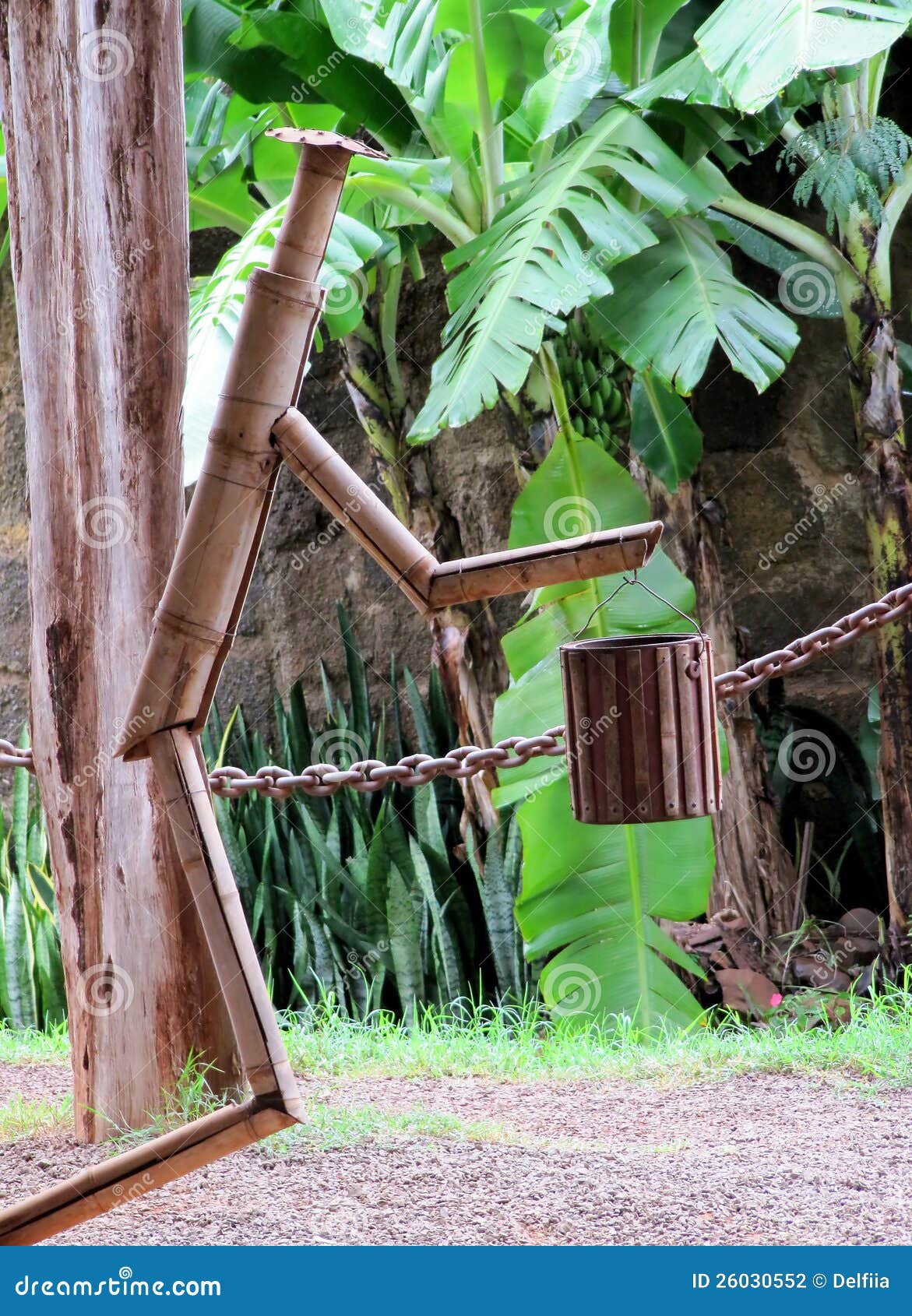 Person from a Bamboo Idea for Garden Design Stock Photo - Image of ...
