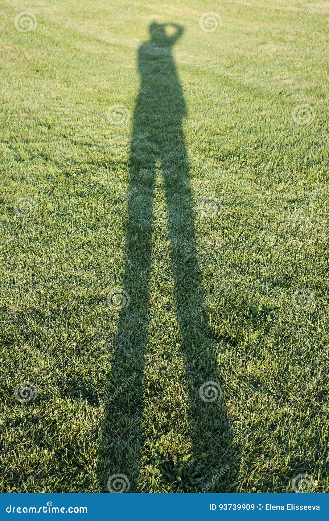 Person Casting Shadow on Grass Stock Image - Image of lawn, shadows ...