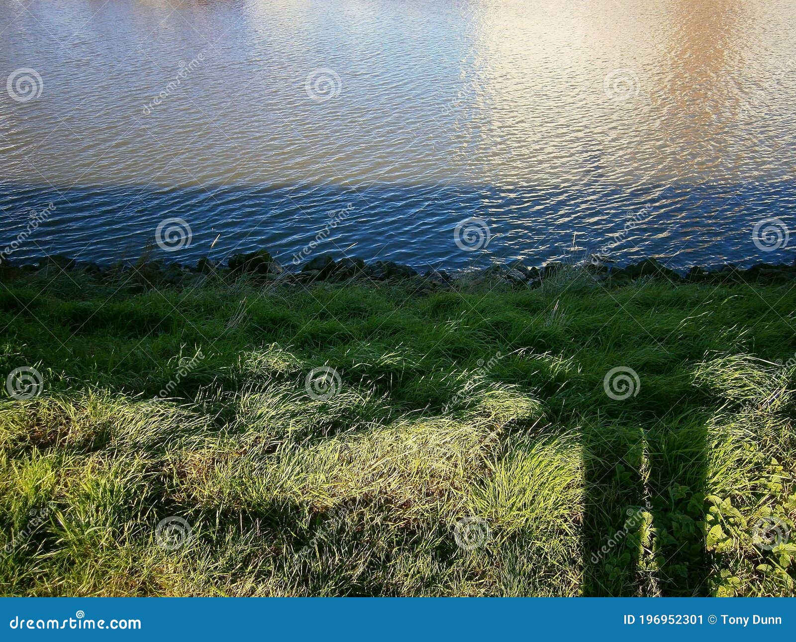 A Person Casting a Shadow on a Riverbank Stock Image - Image of nature ...