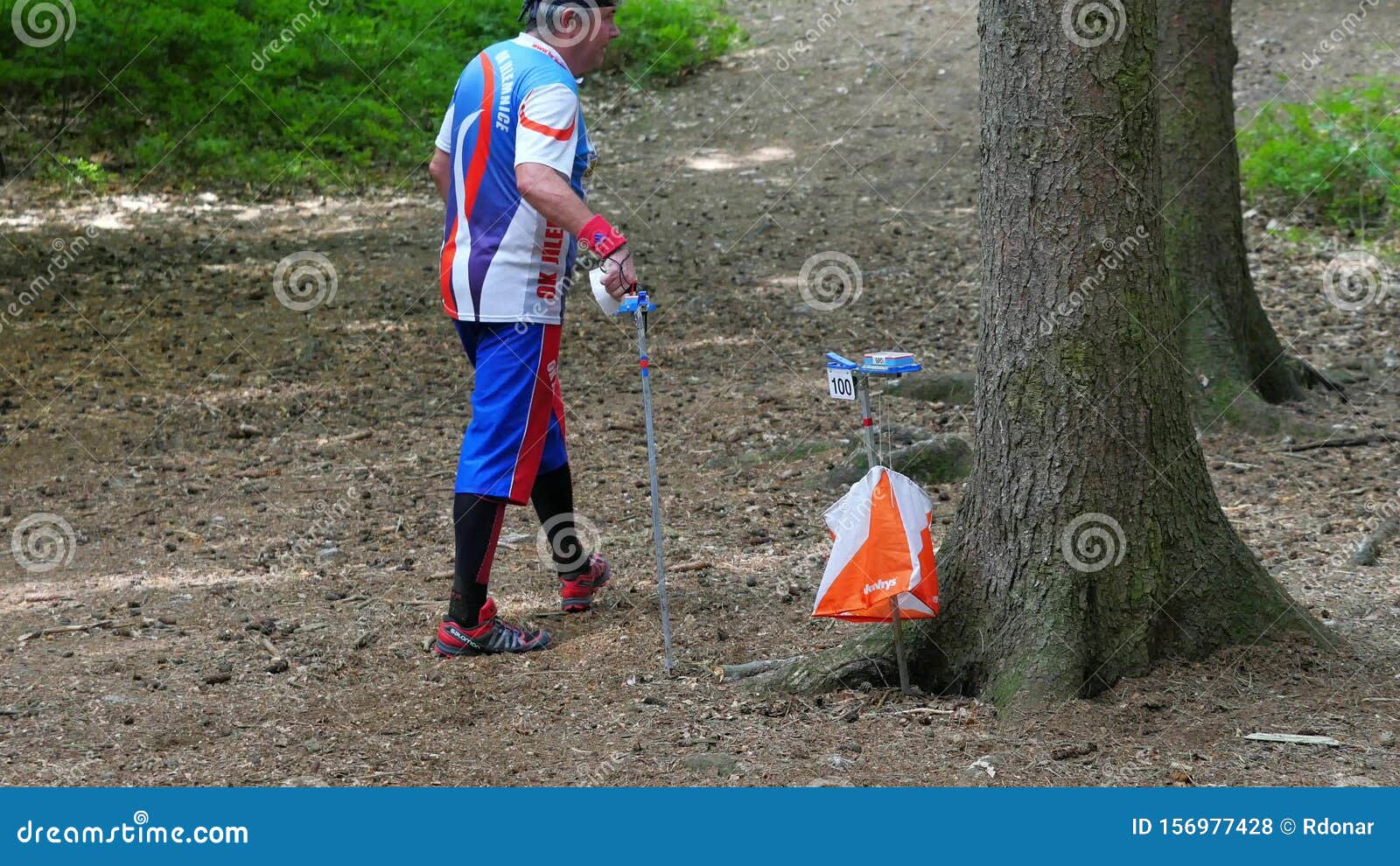 Person Checks Data Chip in Control Point Device. Orienteering Run ...