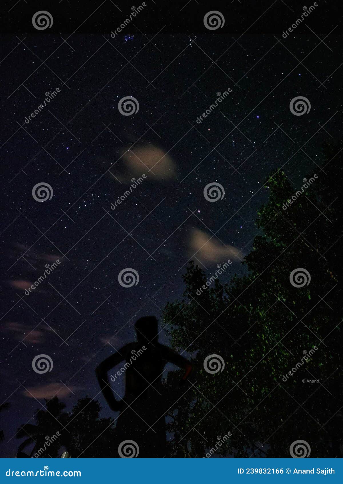Person counting stars stock photo. Image of backyard - 239832166