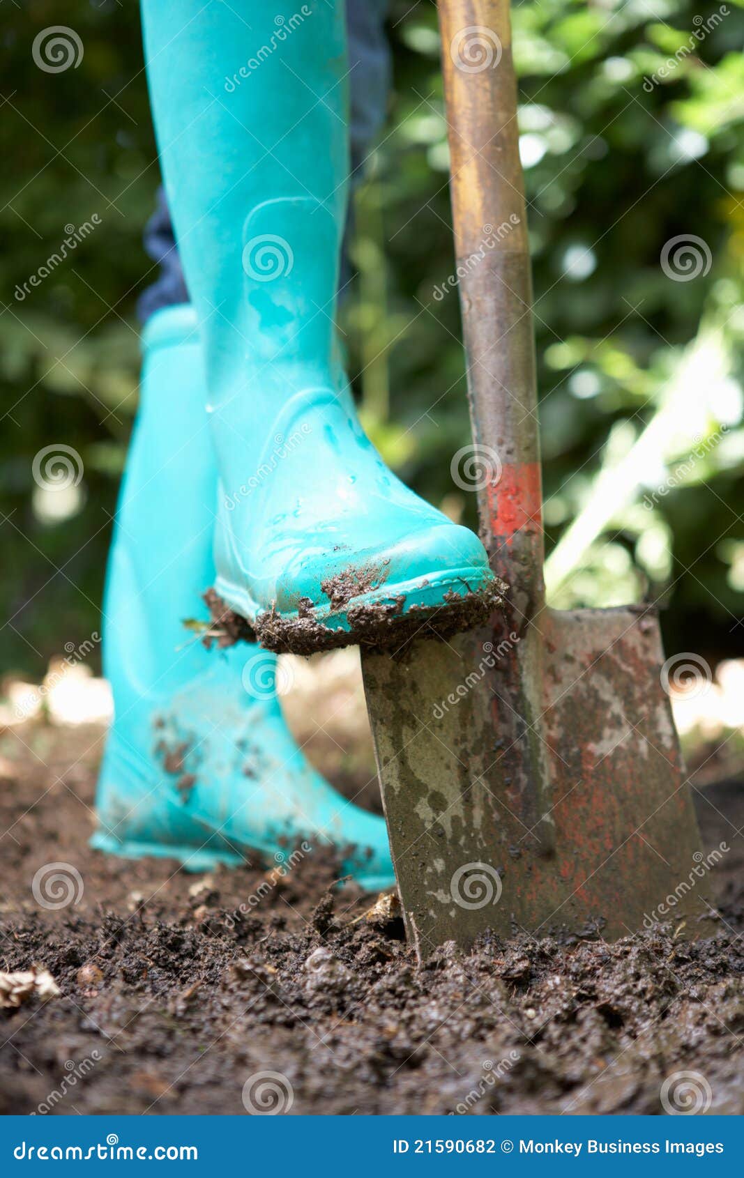 Person digging in garden stock photo. Image of depth - 21590682