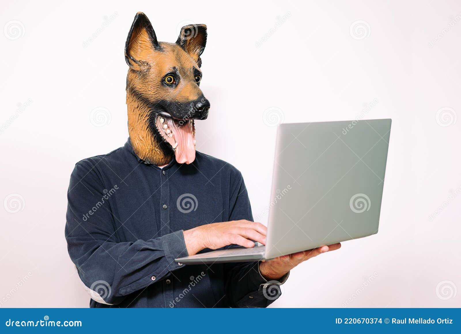 Person with a Dog Mask Typing on a Laptop Computer Stock Photo - Image ...