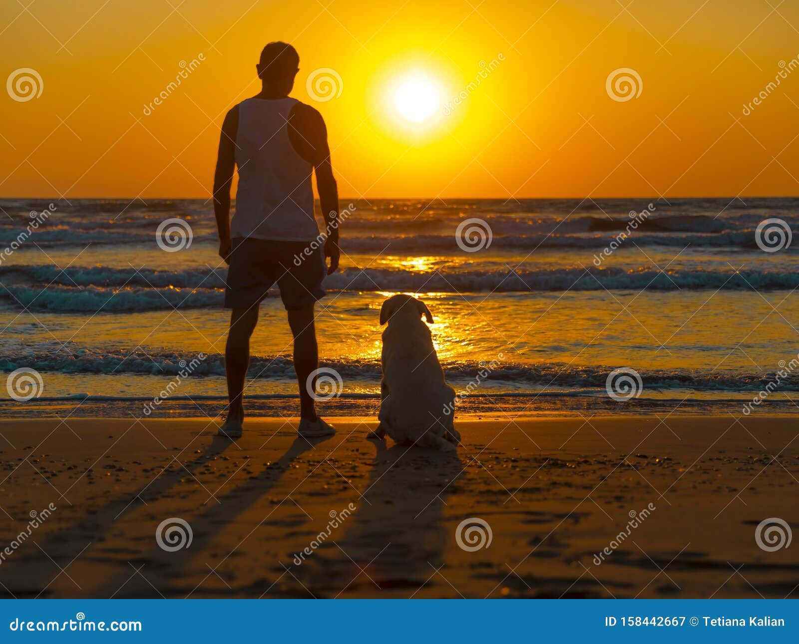 Person and Dog Watching Together the Sunset on the Seashore. Editorial ...