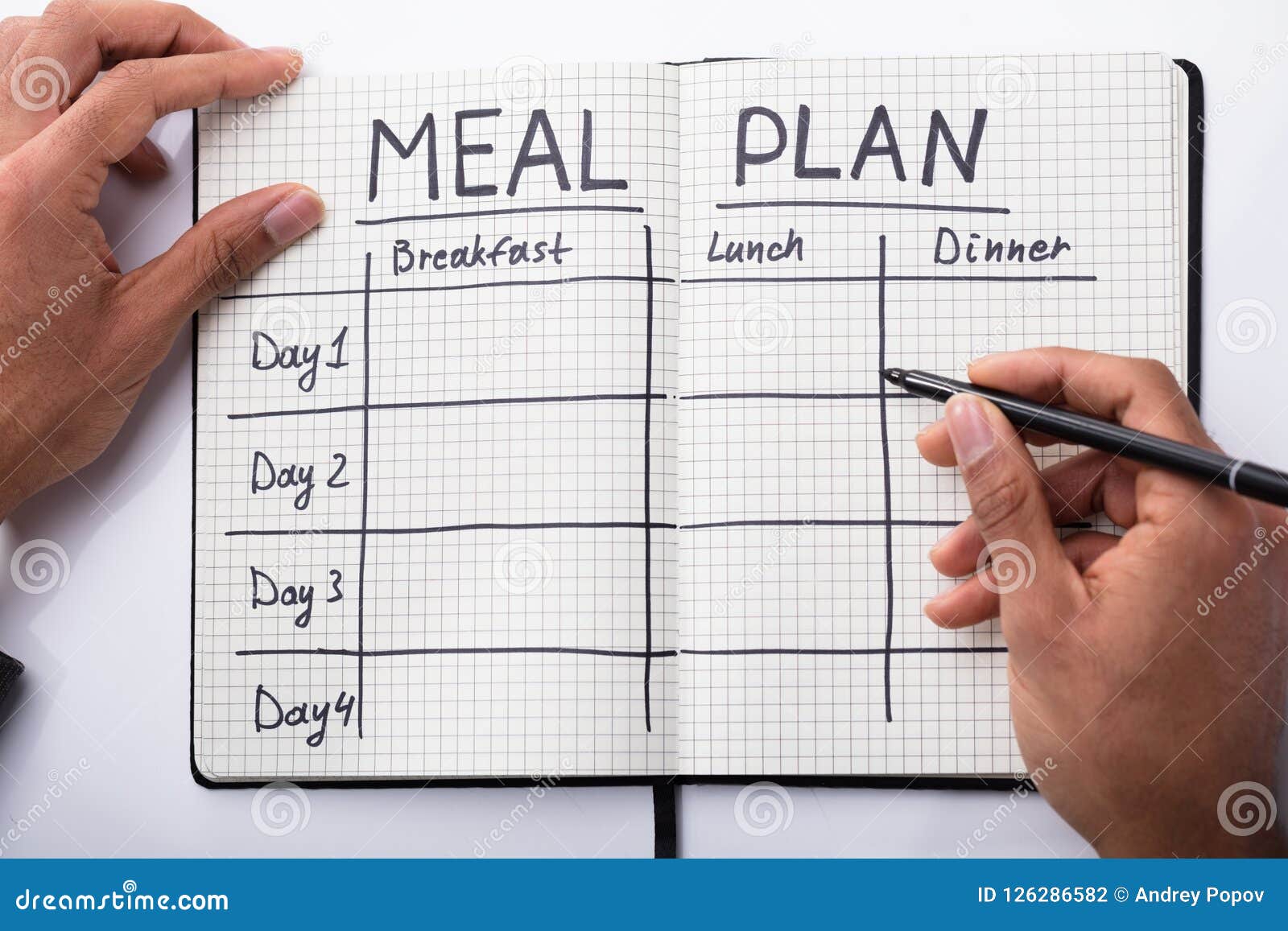 Person Filling Meal Plan in Notebook Stock Photo - Image of lifestyle ...