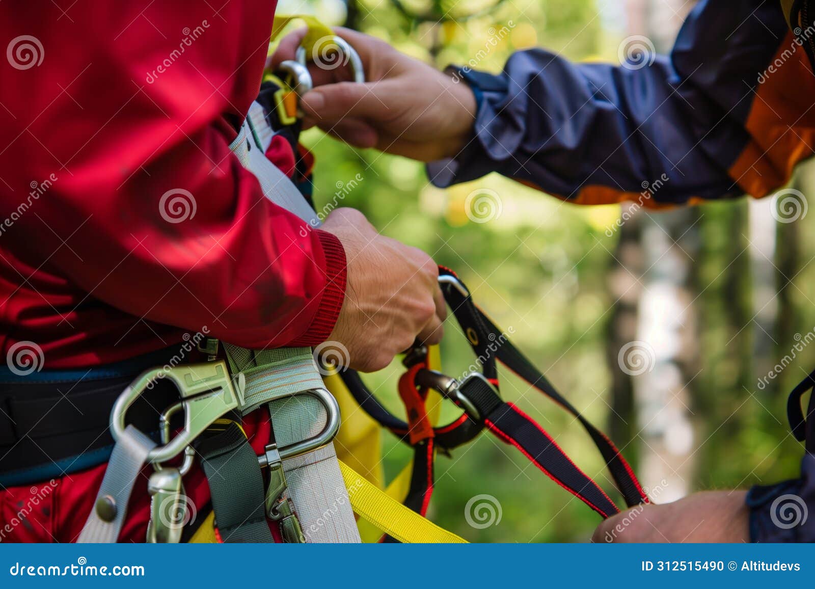 Person Fitting a Safety Harness on a Worker before a Climb Stock ...