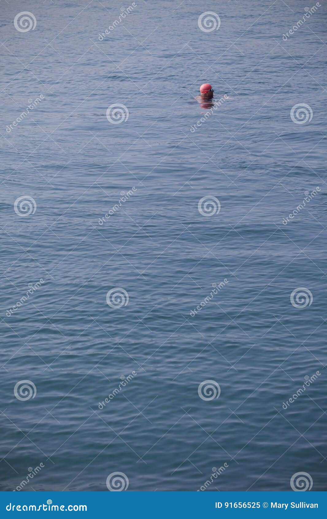 Person Floating in Open Water Immagine Stock - Immagine di attività ...