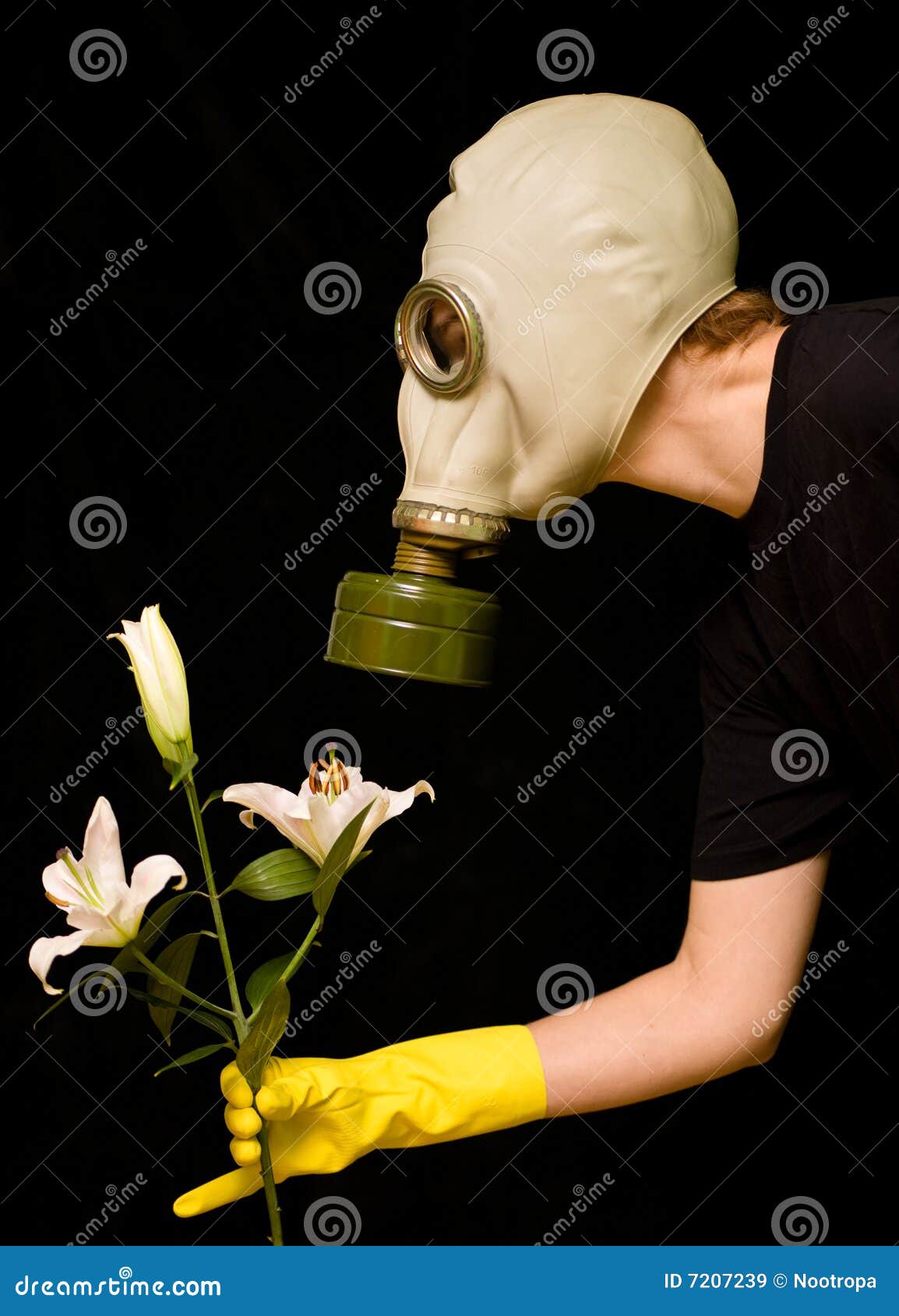 Person in a Gas Mask Smells a Flower Stock Image - Image of holding ...