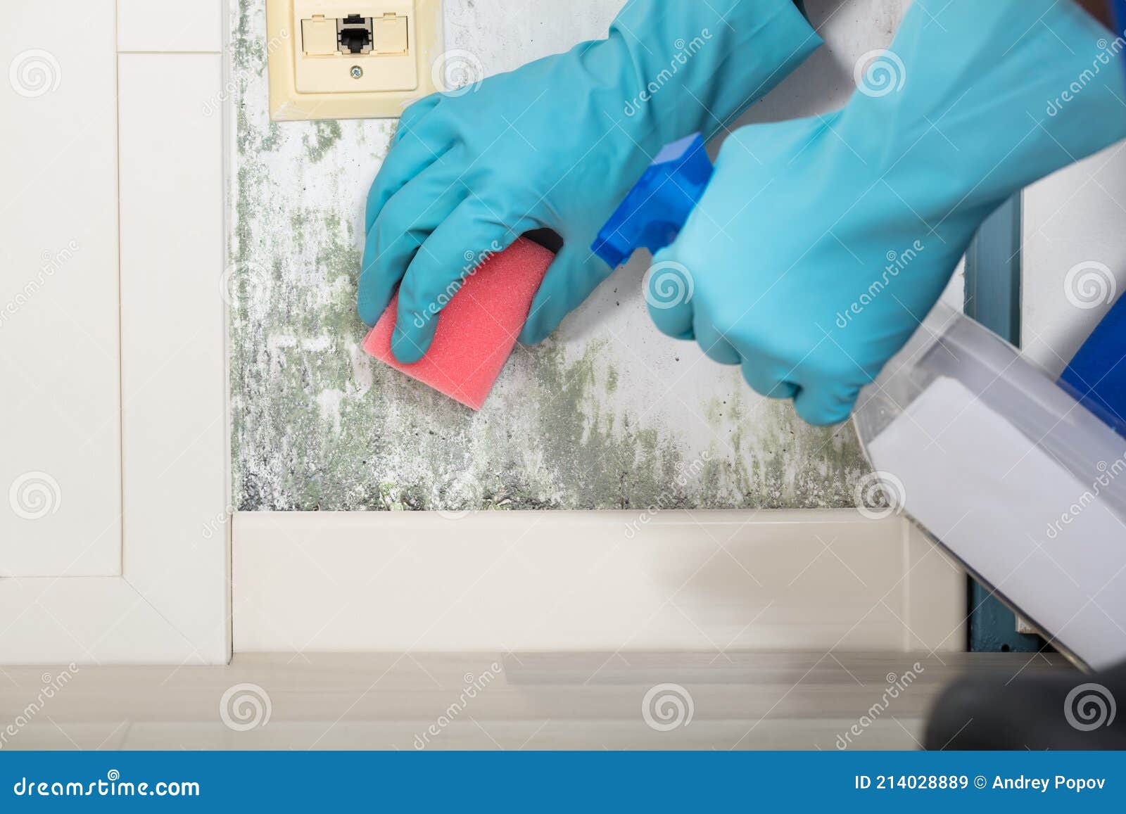 122 Moldy Glove Photos - Free & Royalty-Free Stock Photos from Dreamstime